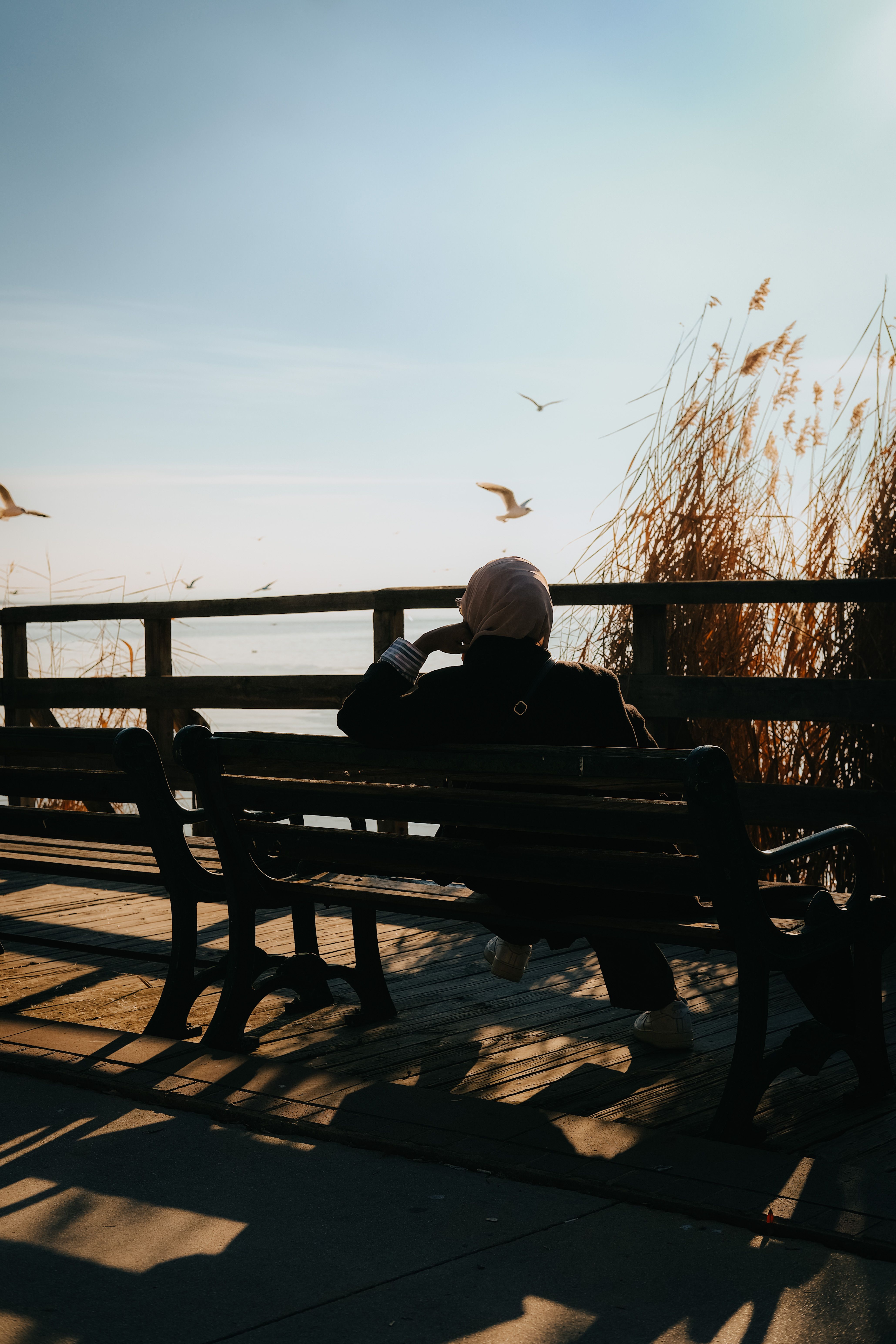 Man Sitting on Bench and Birds Flying · Free Stock Photo
