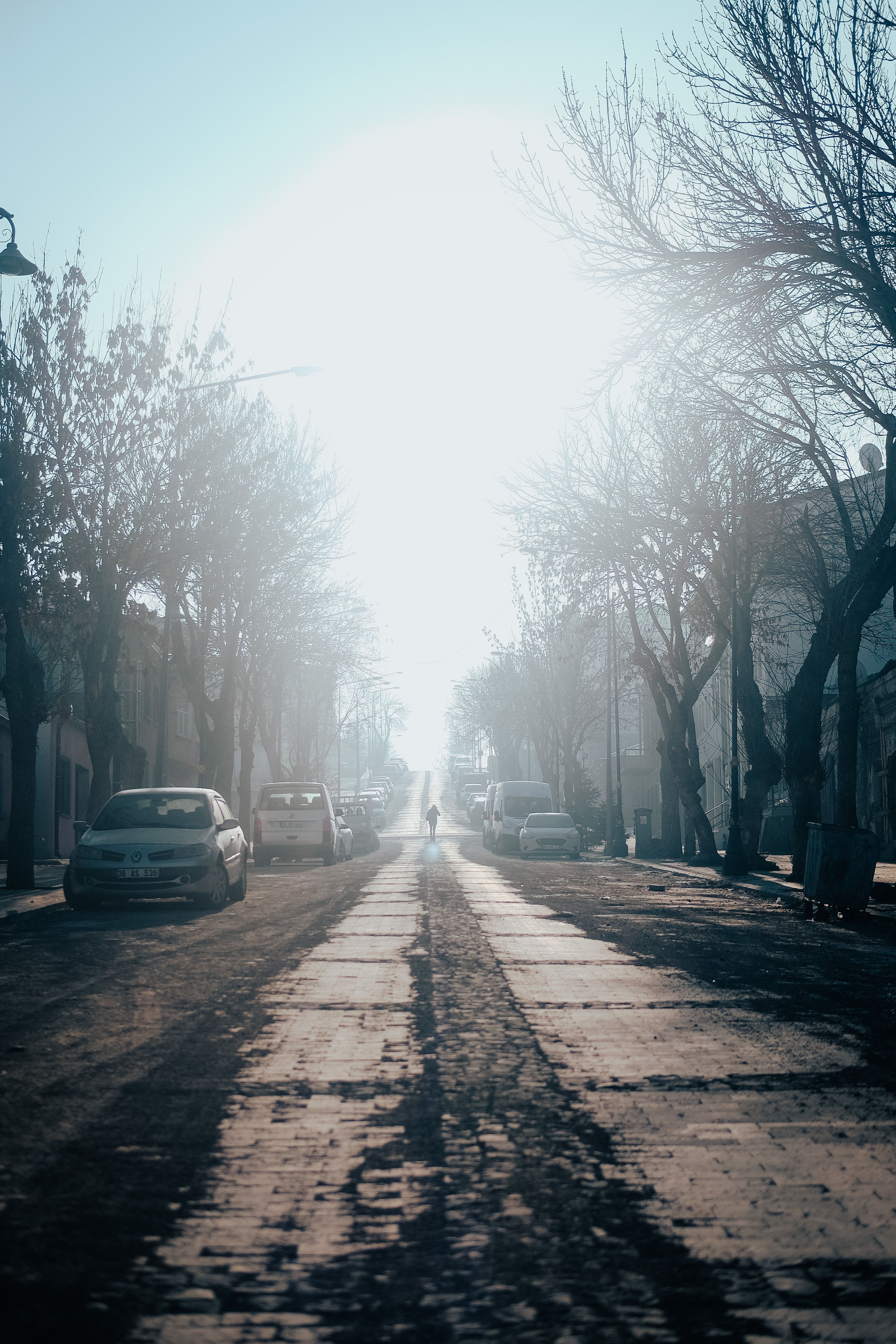 Morning Photo of a Street in the Town · Free Stock Photo