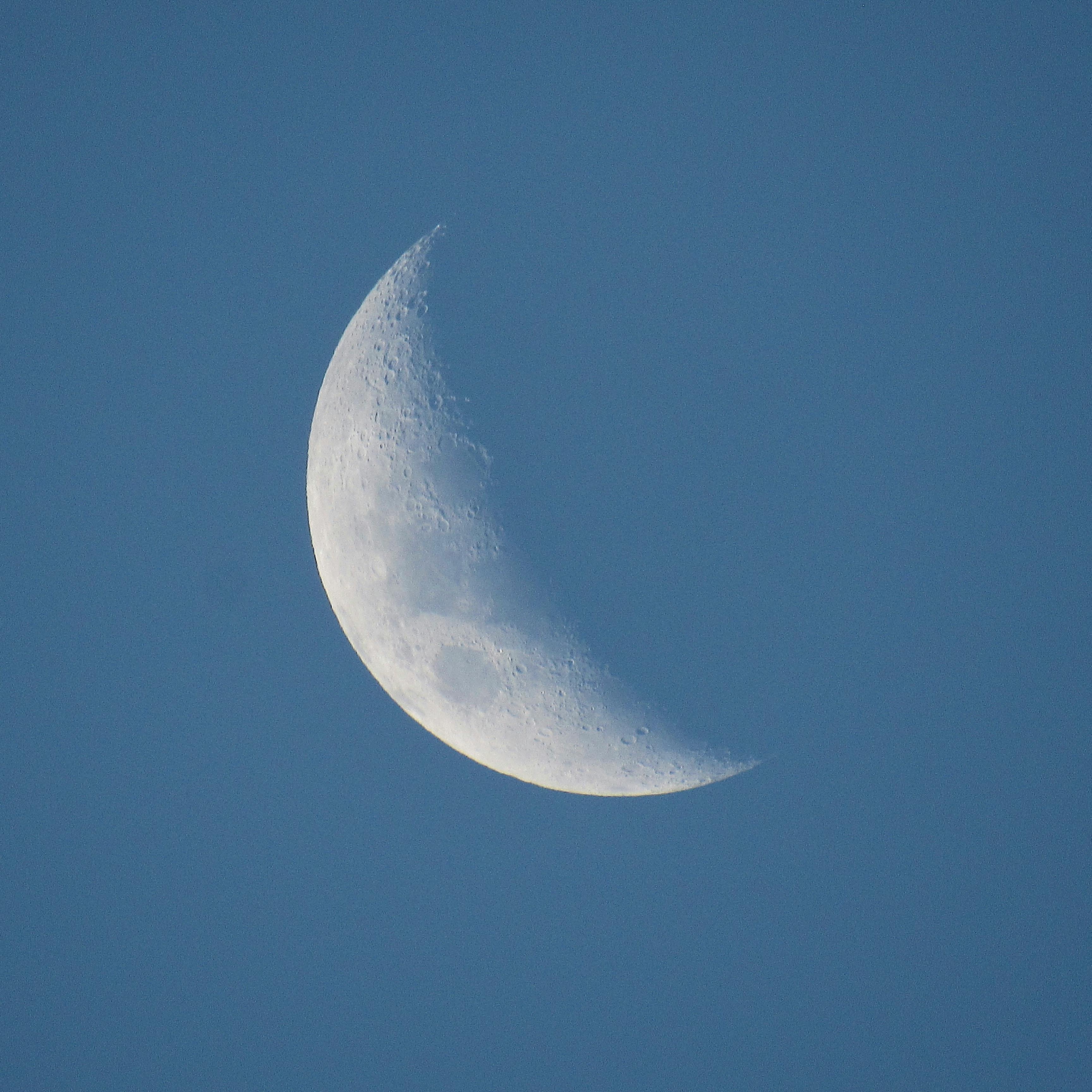 Crescent Moon in Sky · Free Stock Photo
