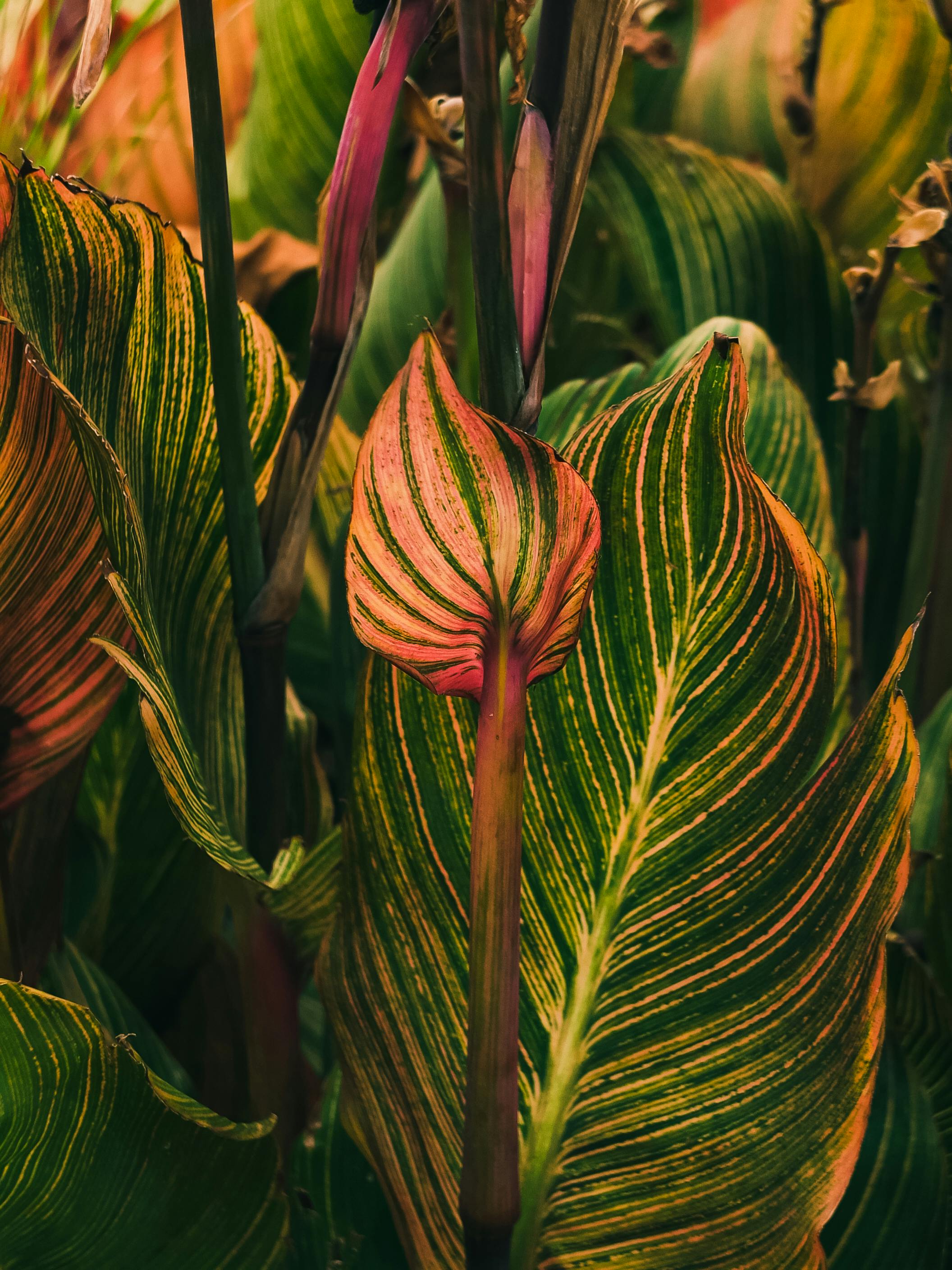 Pringles Photos, Download The BEST Free Pringles Stock Photos & HD Images