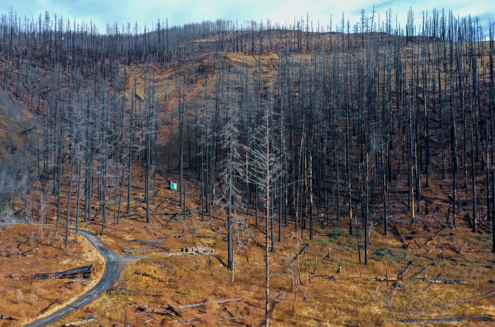 Forest Destruction And Habitat Loss Photos, Download The BEST Free ...