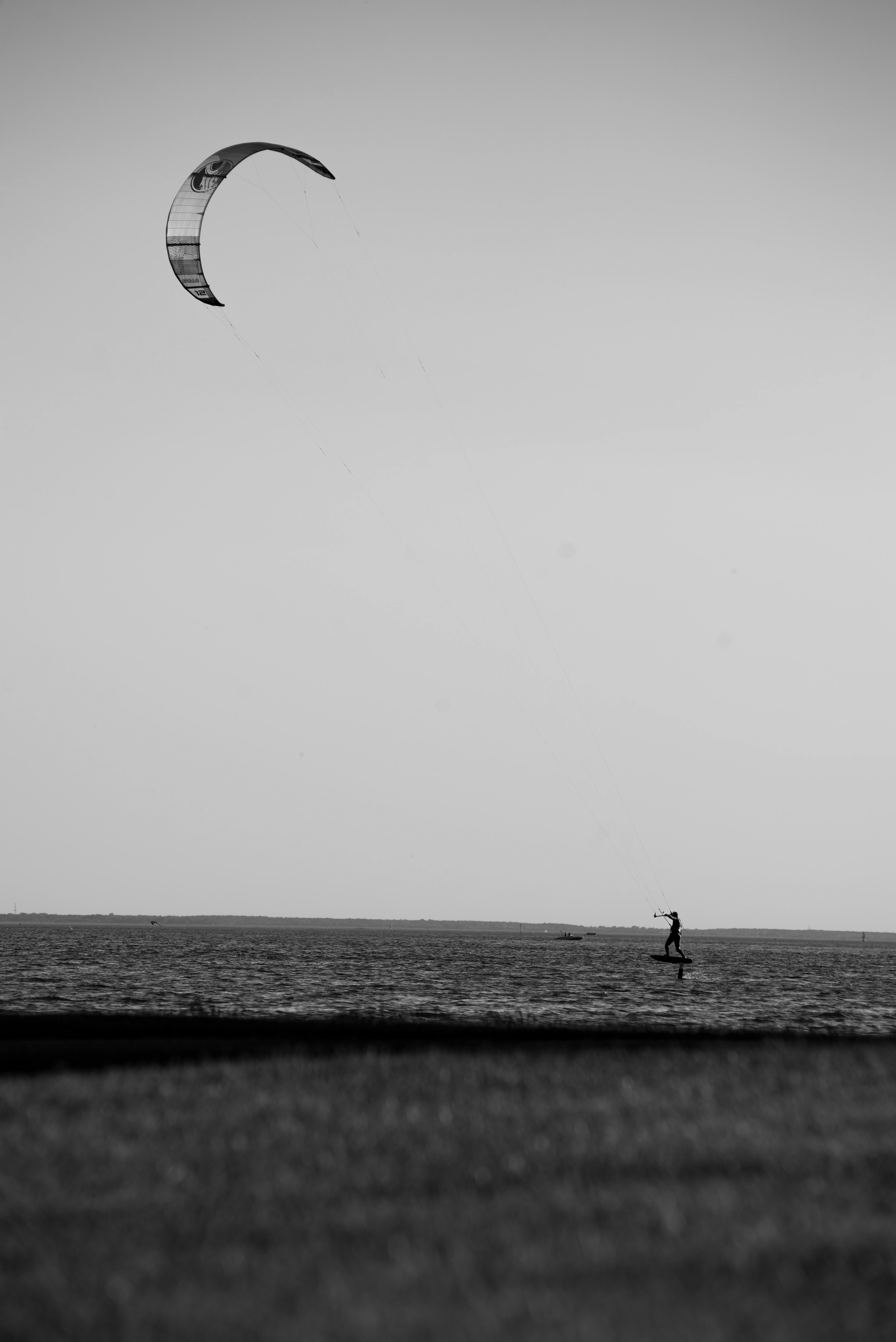 Windsurfing in Sea · Free Stock Photo