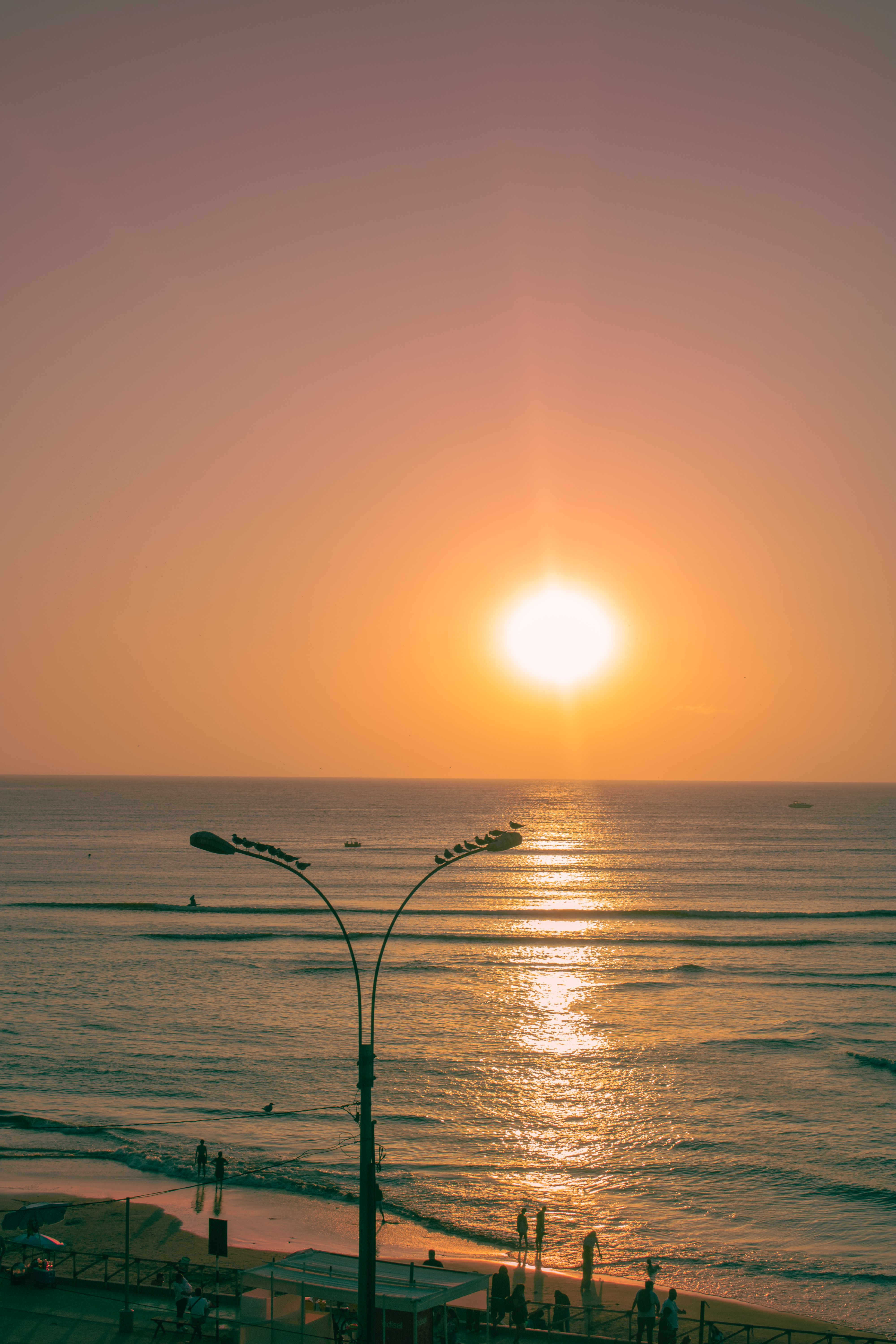 Sunlight Reflecting on Water Surface · Free Stock Photo