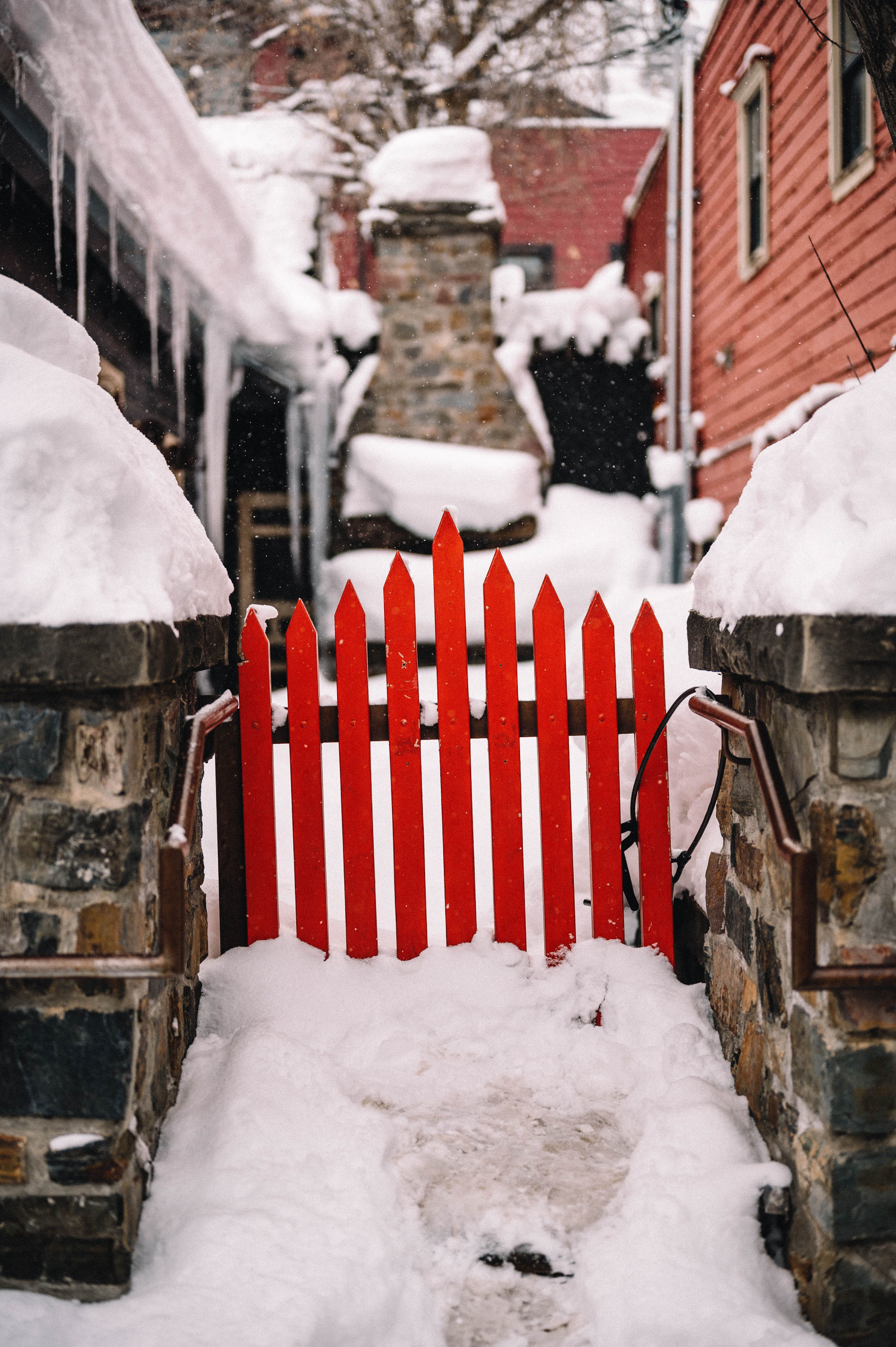 A Gate Blocked with Snow · Free Stock Photo