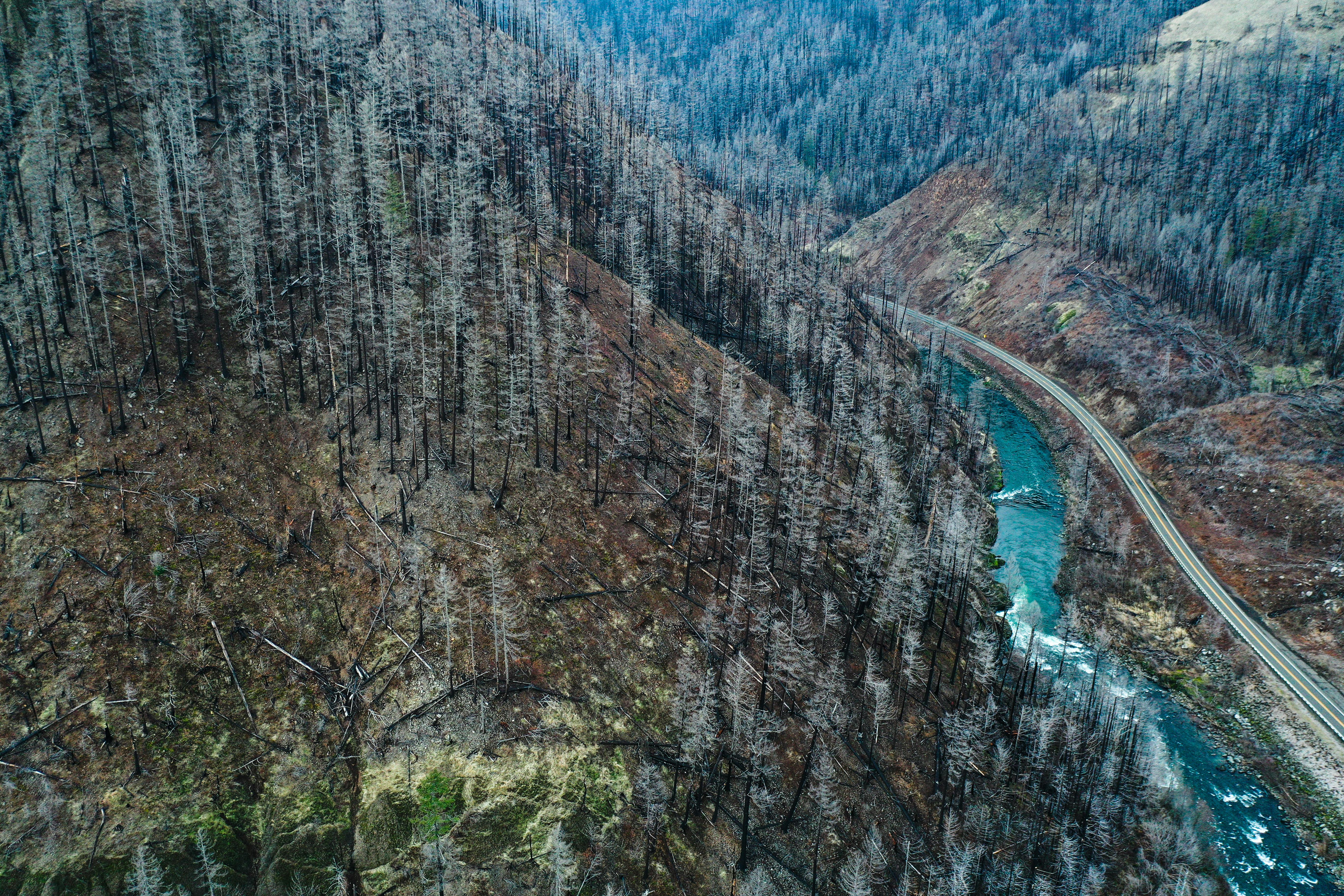 Road along River in Valley · Free Stock Photo