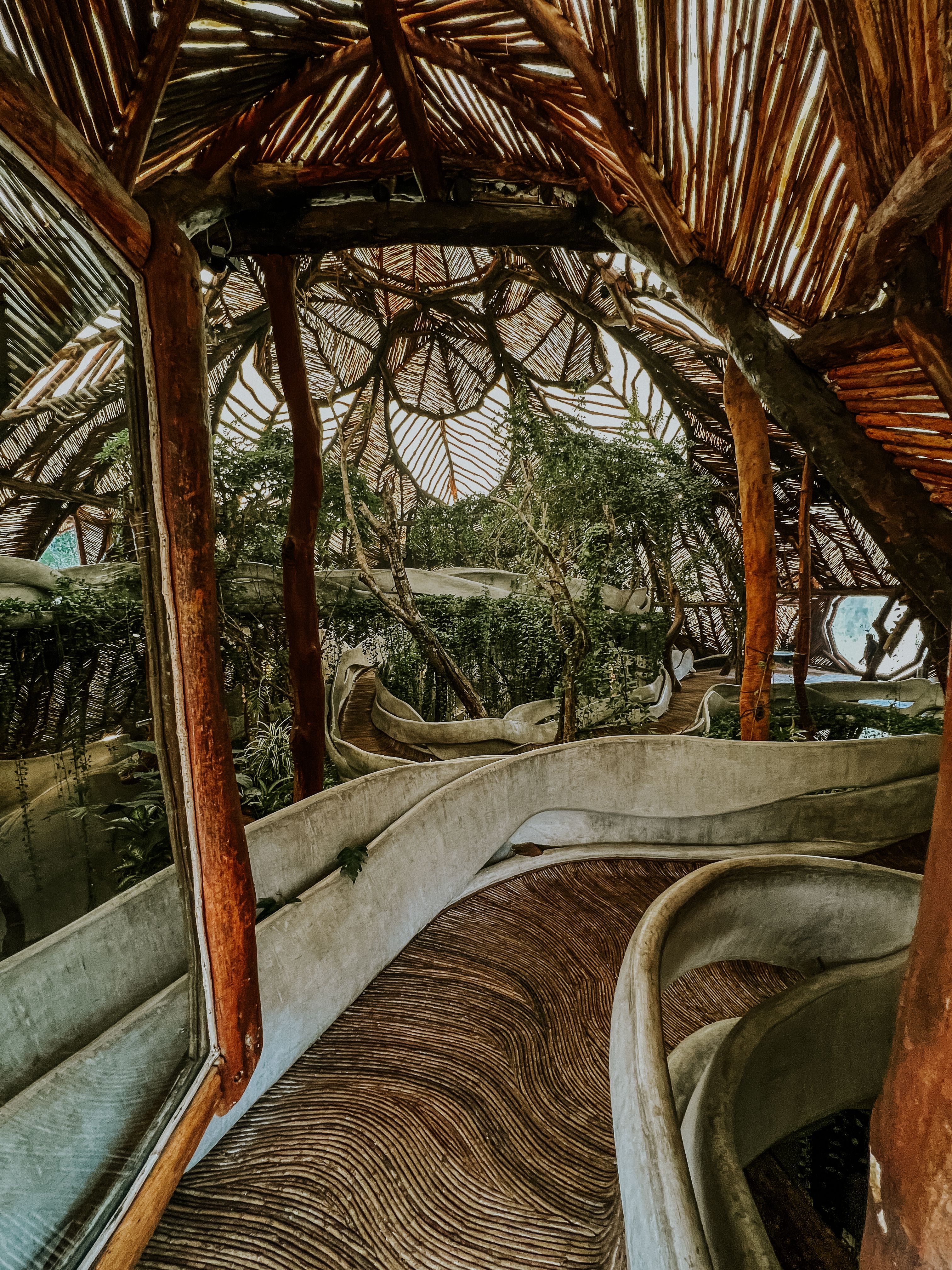 The inside of a tree house with a curved roof · Free Stock Photo