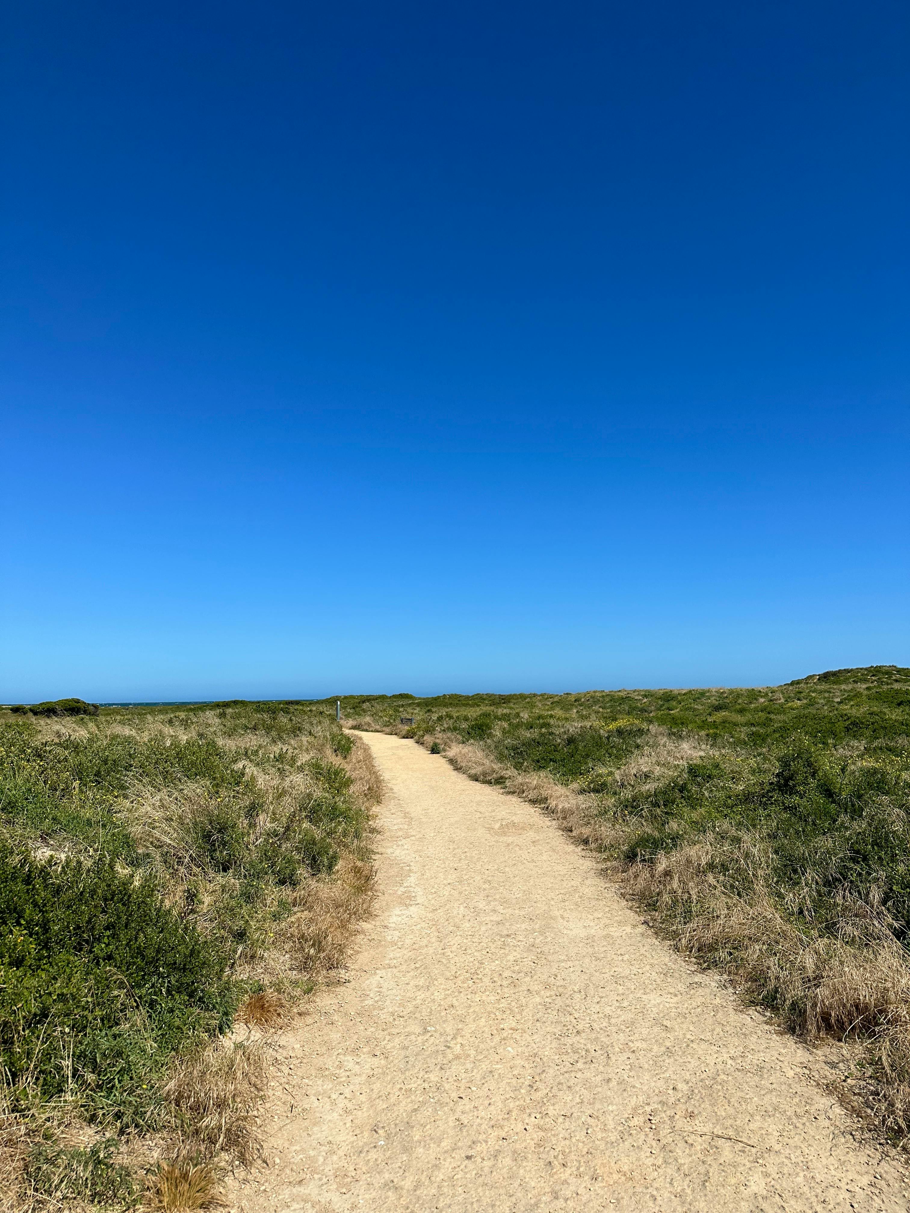 Clearing The Path Photos, Download The BEST Free Clearing The Path ...