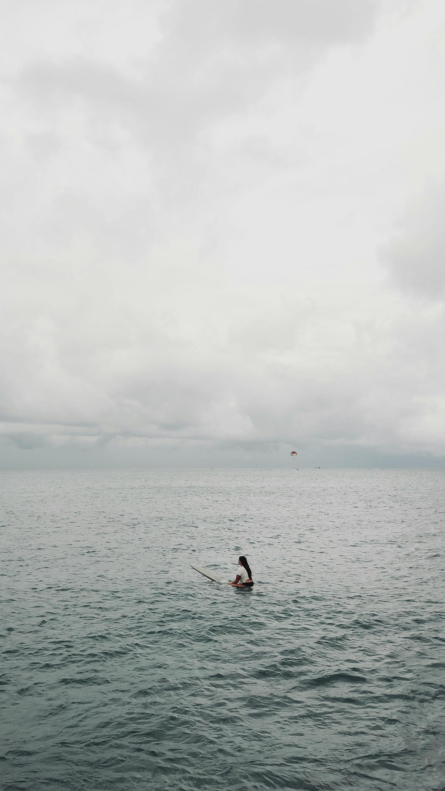 Adv Board Photos, Download The BEST Free Adv Board Stock Photos & HD Images