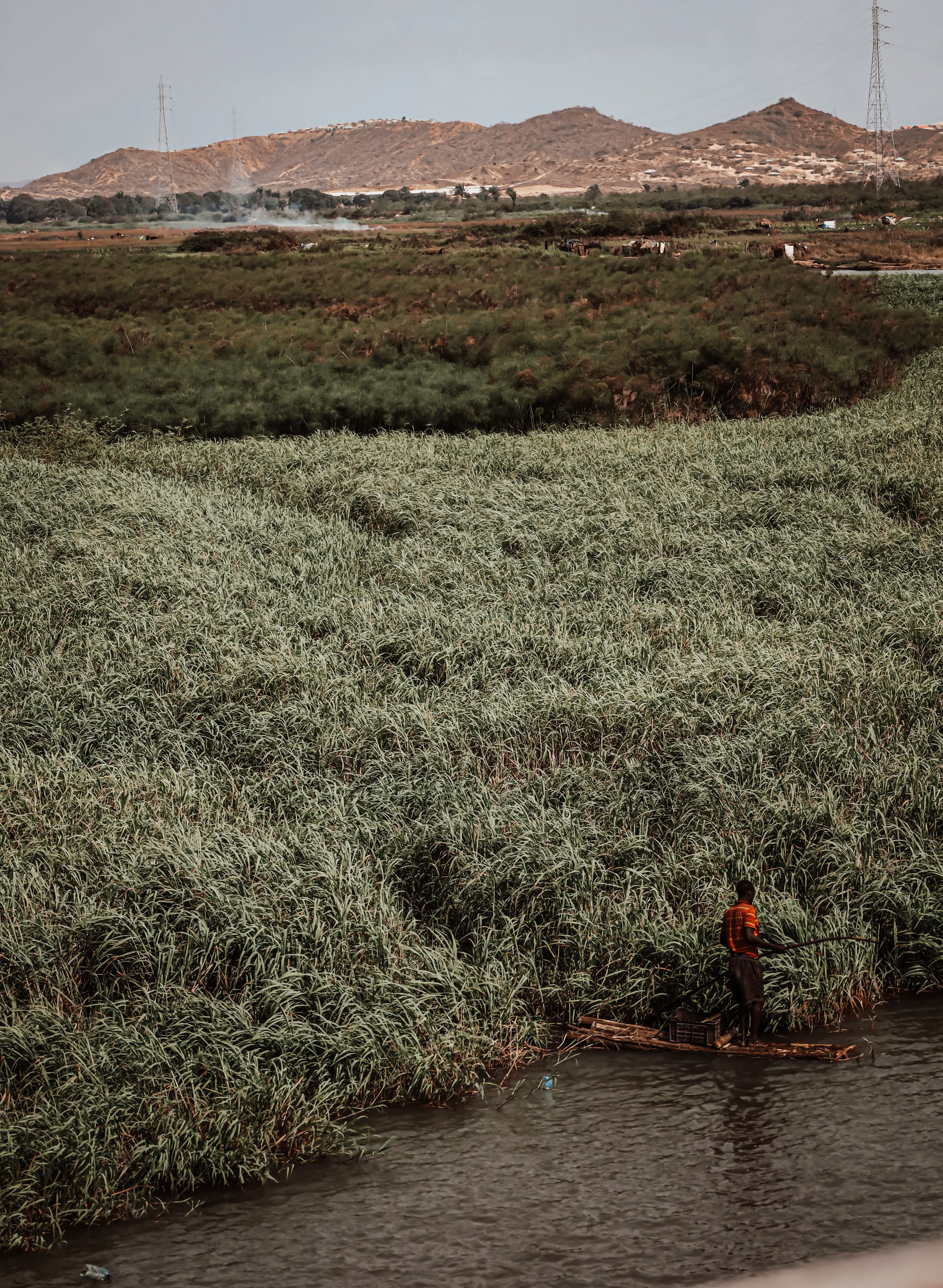 Man on Raft on Water near Rushes · Free Stock Photo
