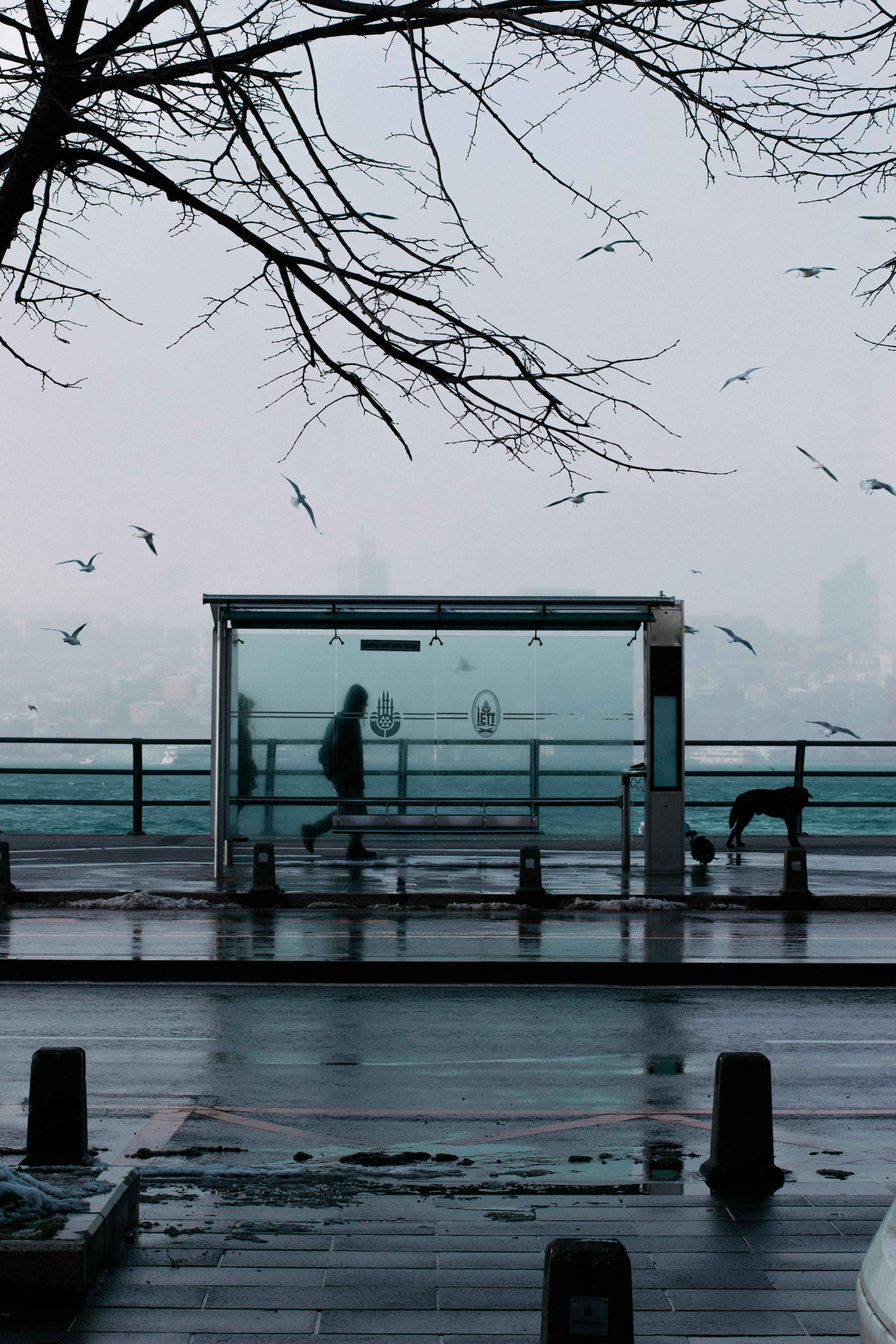 Bus · Free Stock Photo