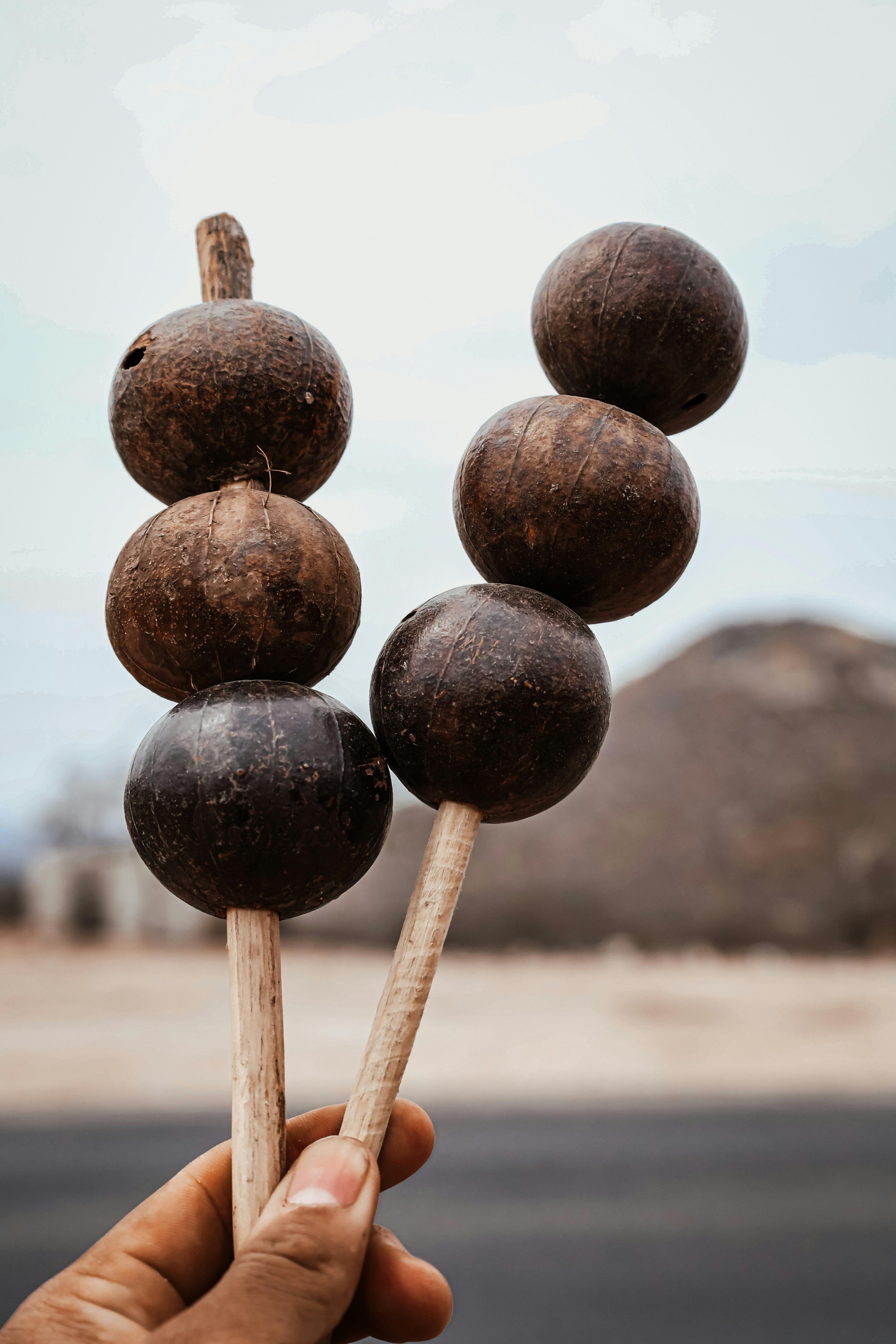 Native Rattle Photos, Download The BEST Free Native Rattle Stock Photos ...