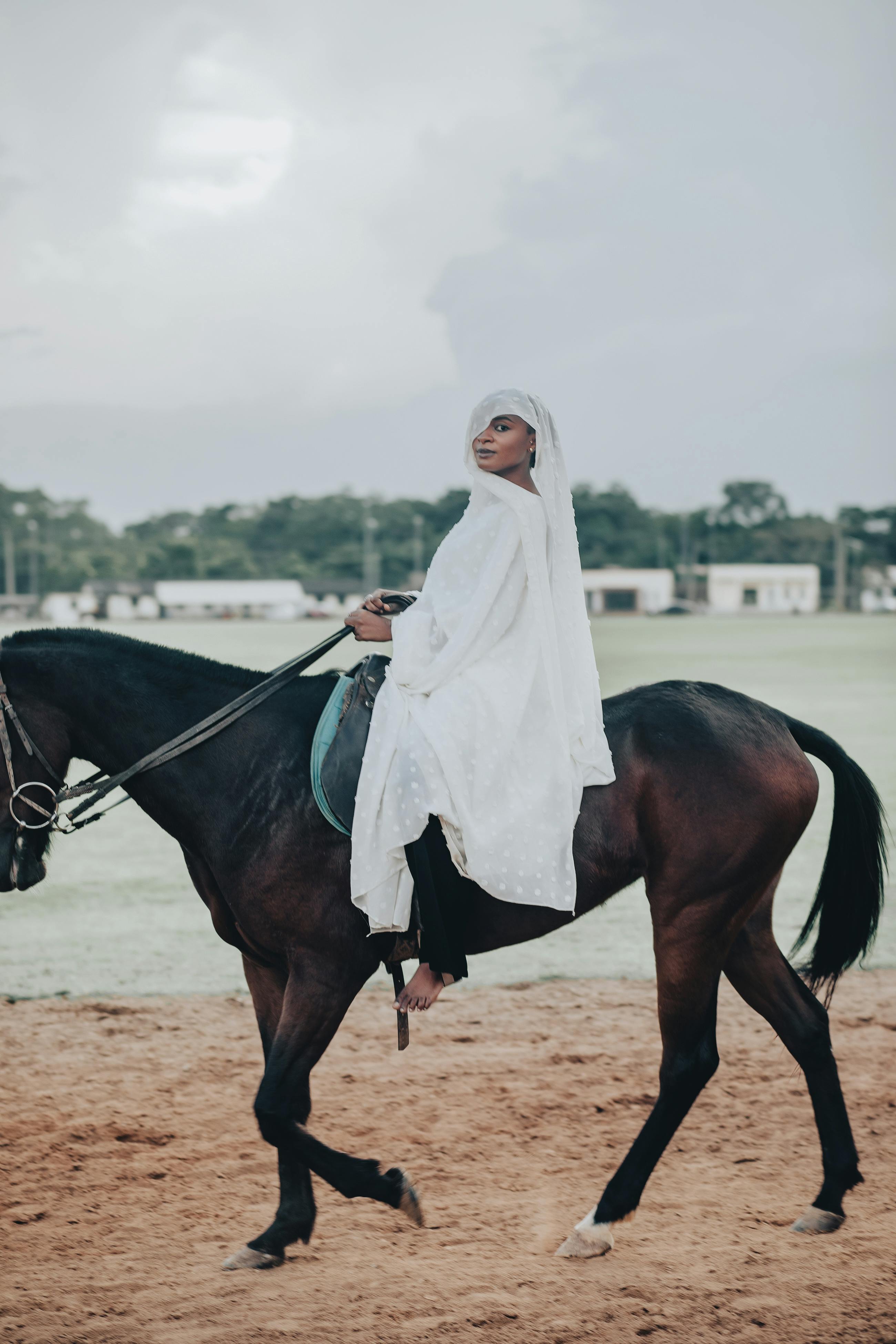 Bridle Images Photos, Download The BEST Free Bridle Images Stock Photos ...