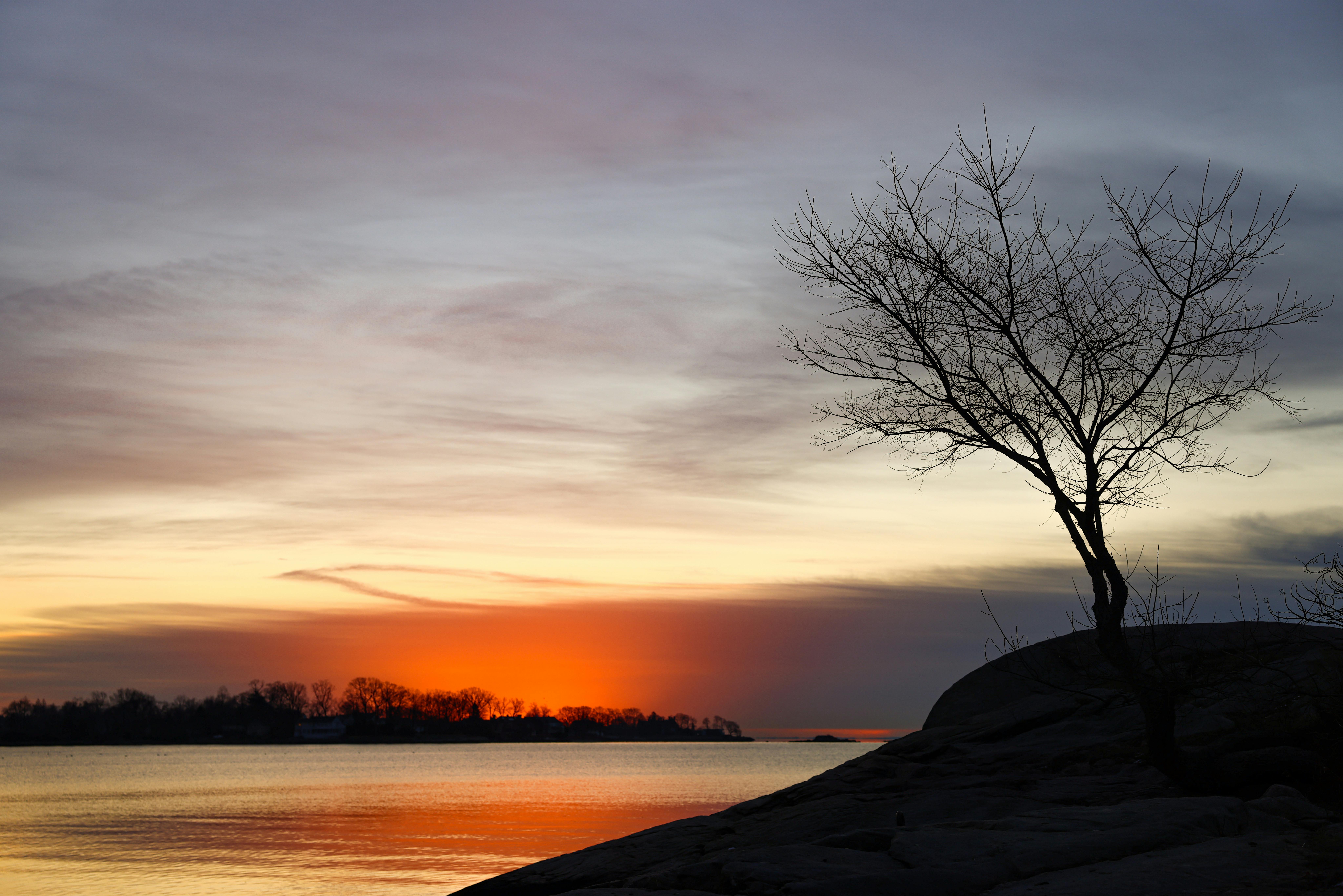 Landscape Tree Photos, Download The BEST Free Landscape Tree Stock ...