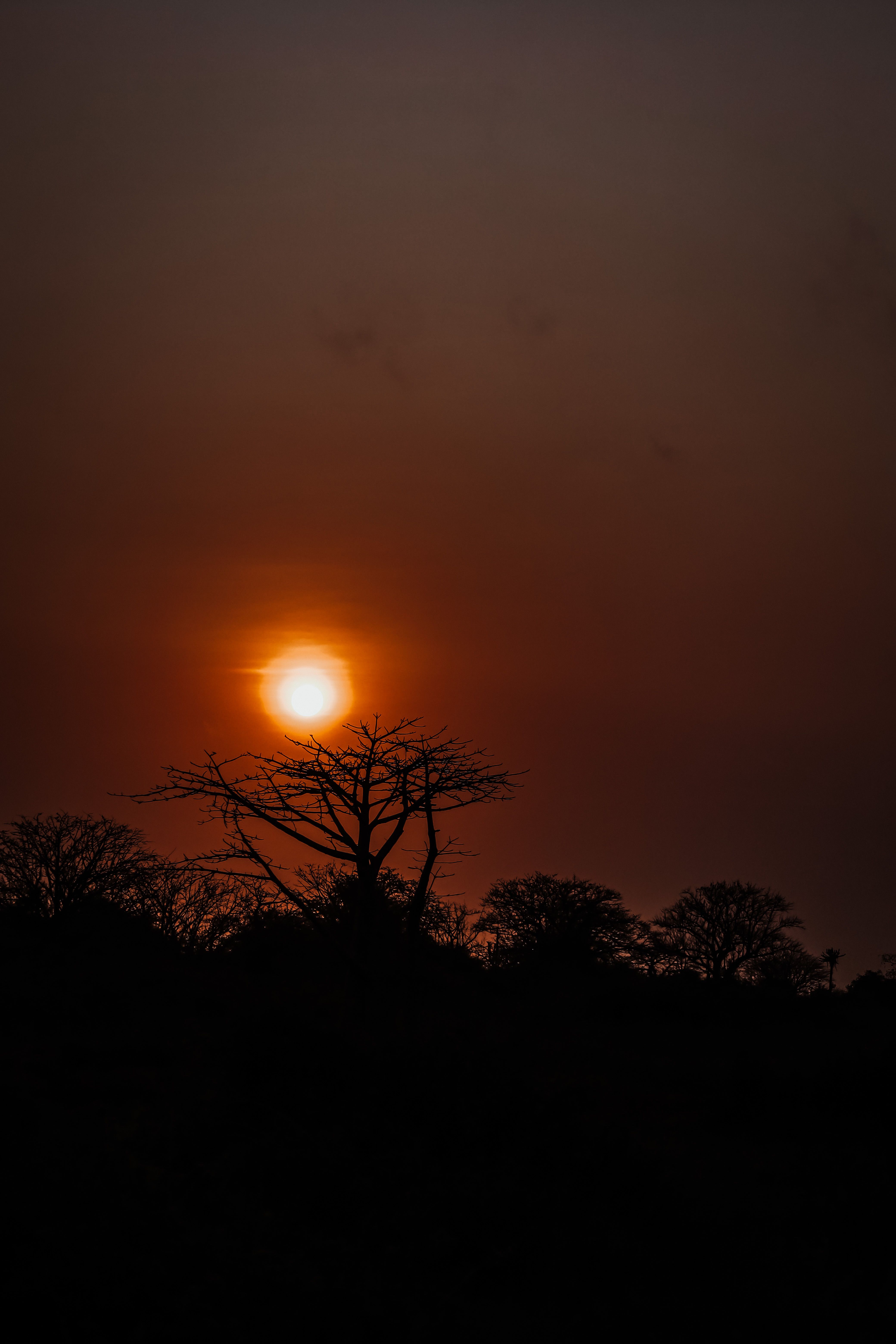 Bloody Red Sunset · Free Stock Photo