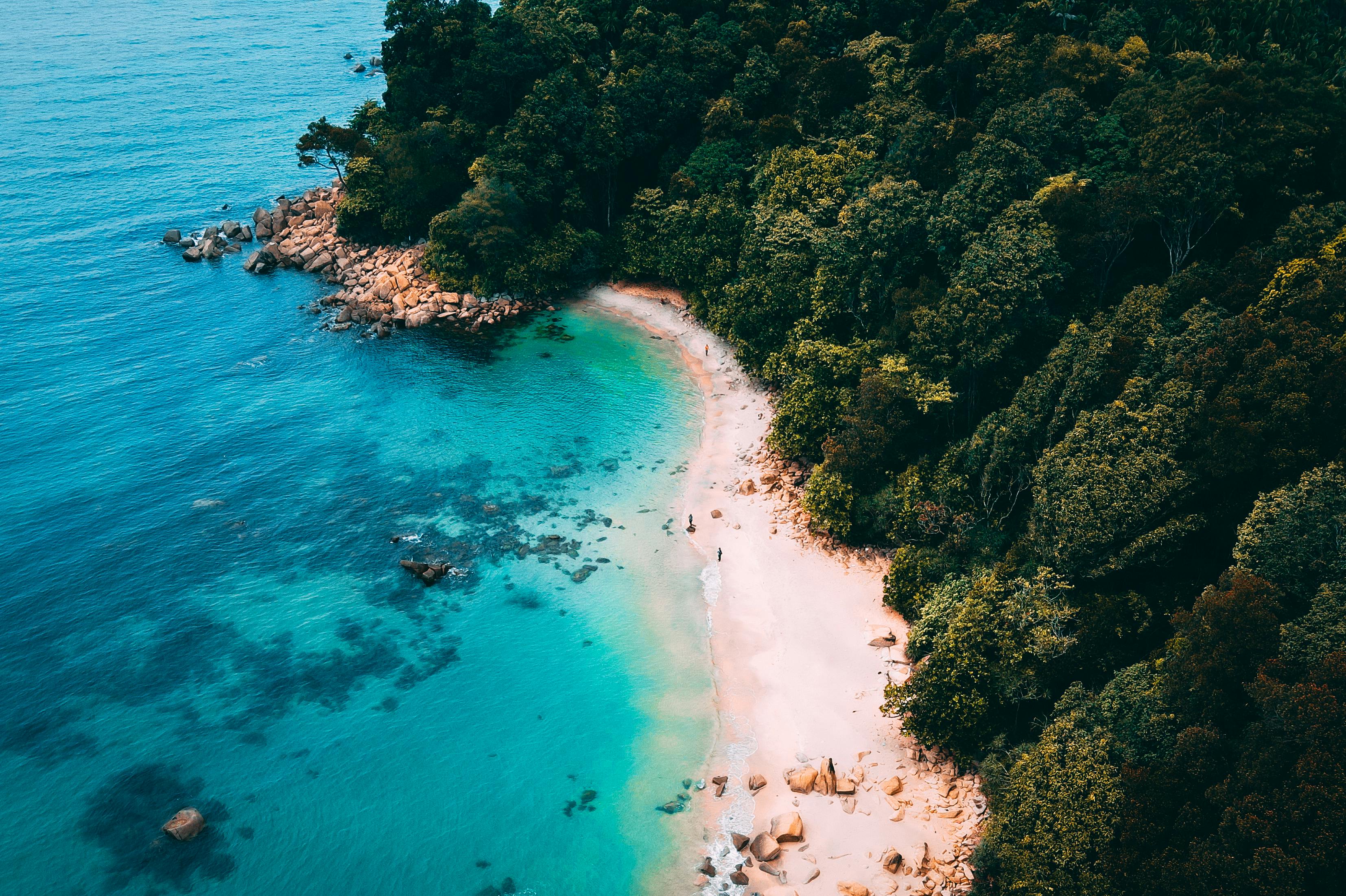 Drone Shot of Beach · Free Stock Photo