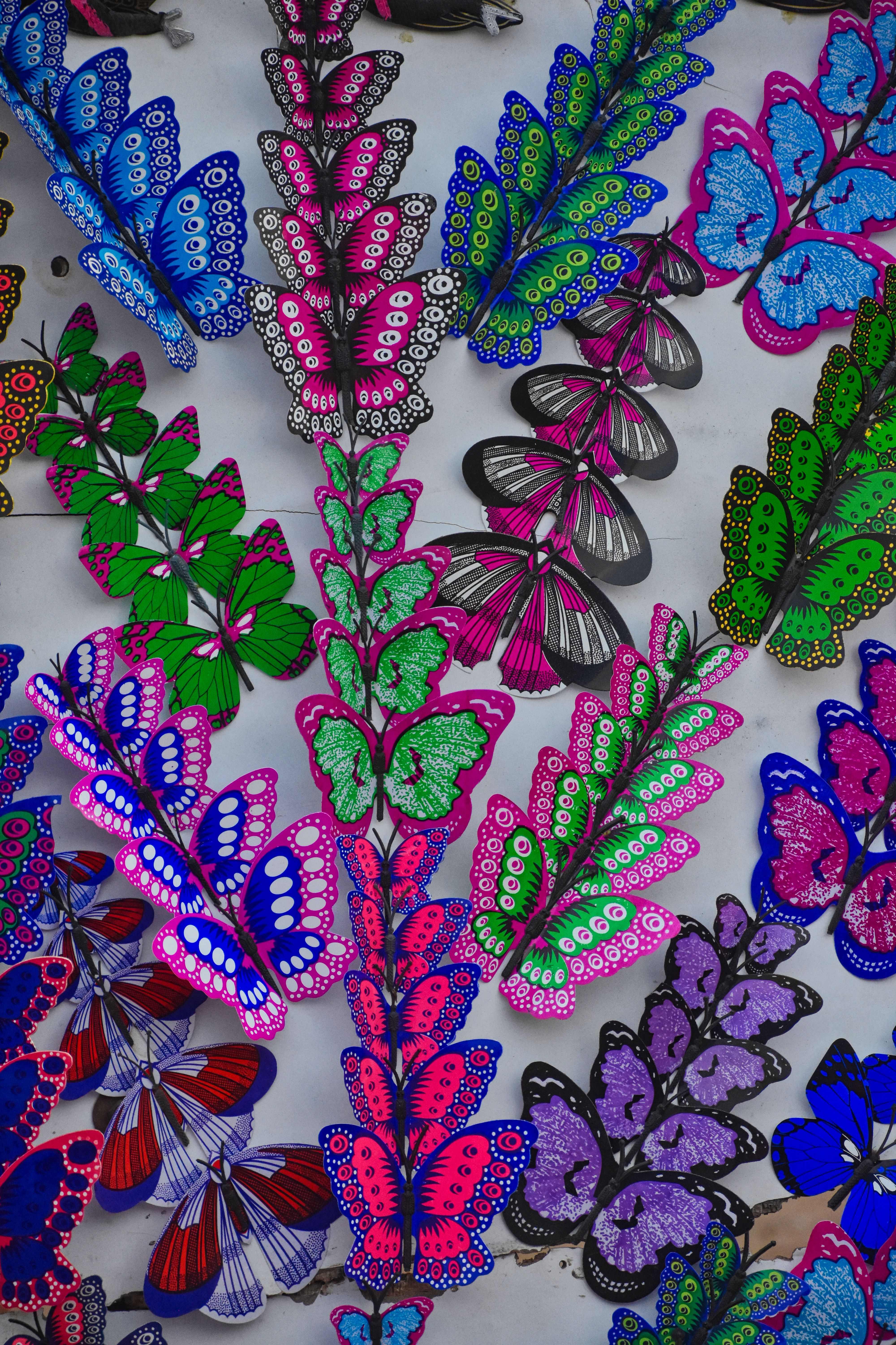 Display of Decorative Butterflies · Free Stock Photo