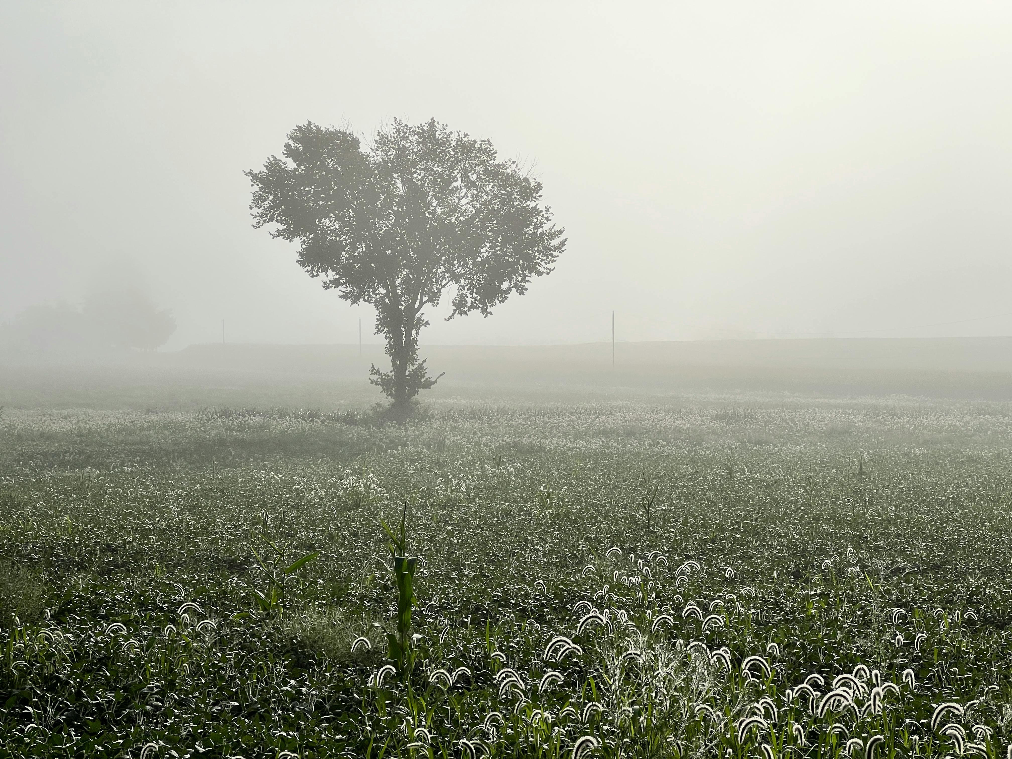 Chris Lawson - 사진