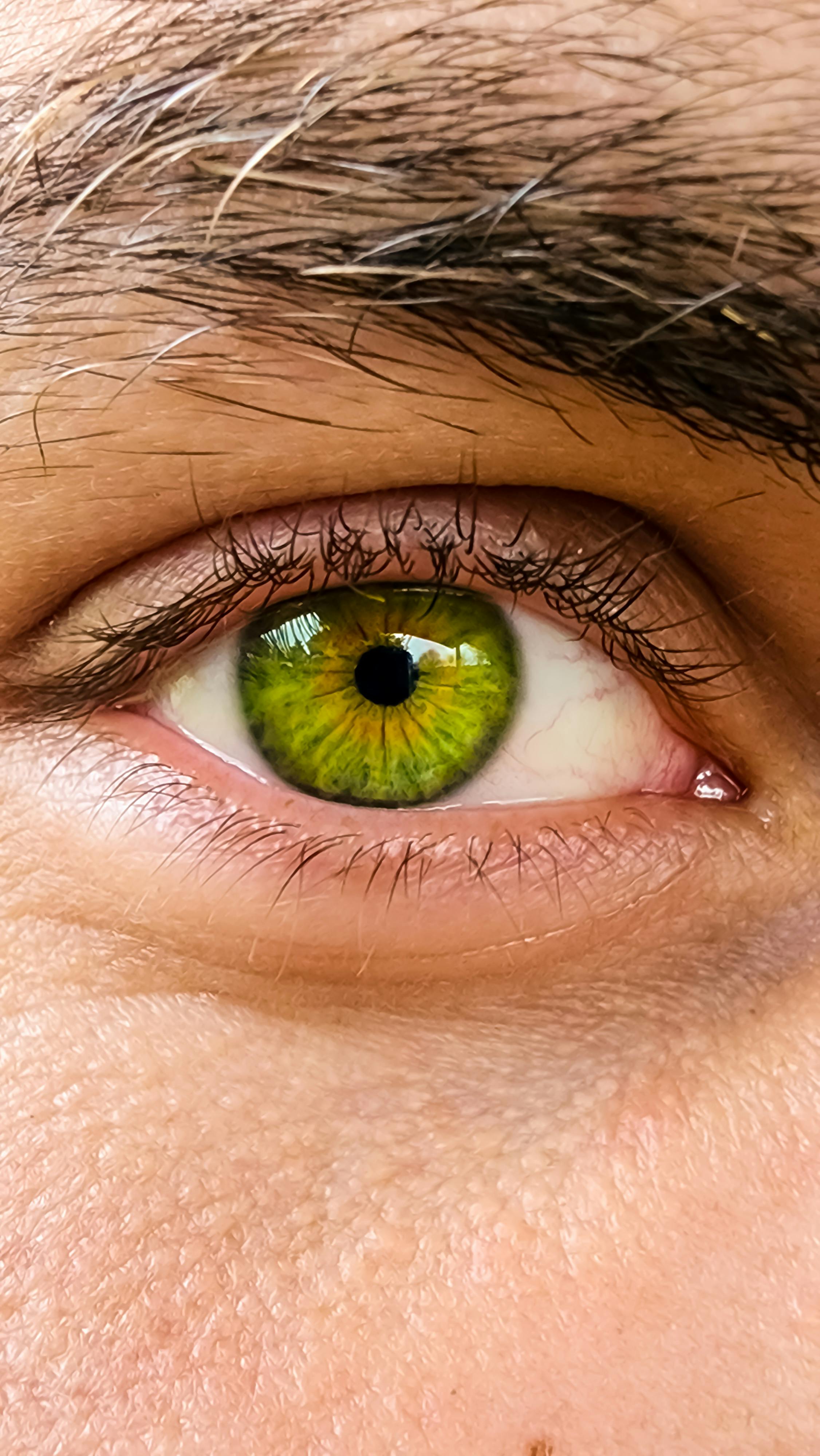 Foto de stock gratuita sobre adulto, alumno, belleza, belleza natural ...