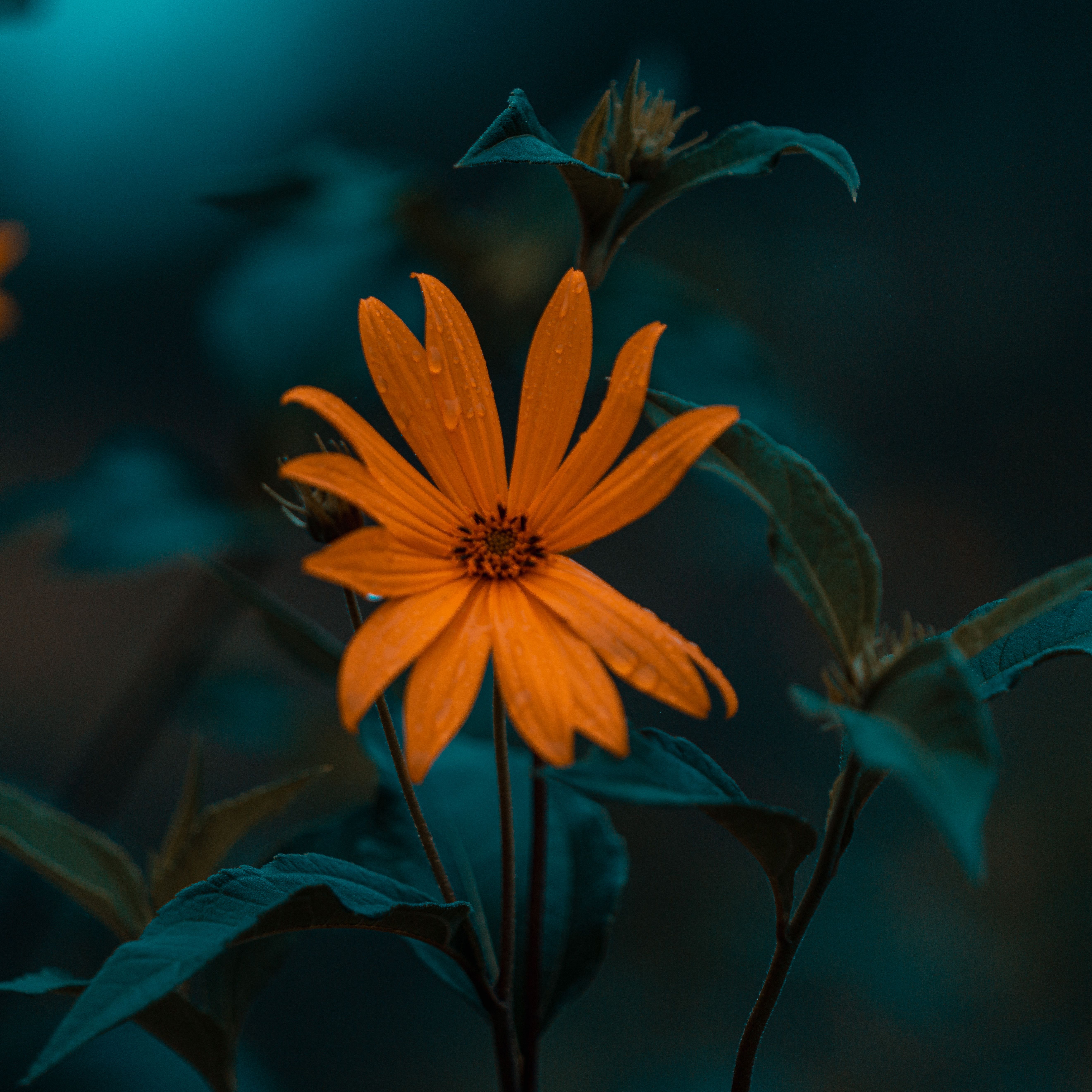Marcus Wagner - Photography