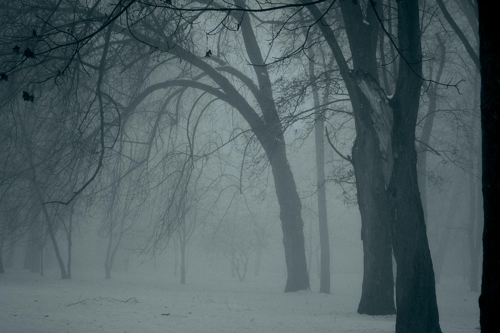 Ominous Snow Landscape Photos, Download The BEST Free Ominous Snow ...
