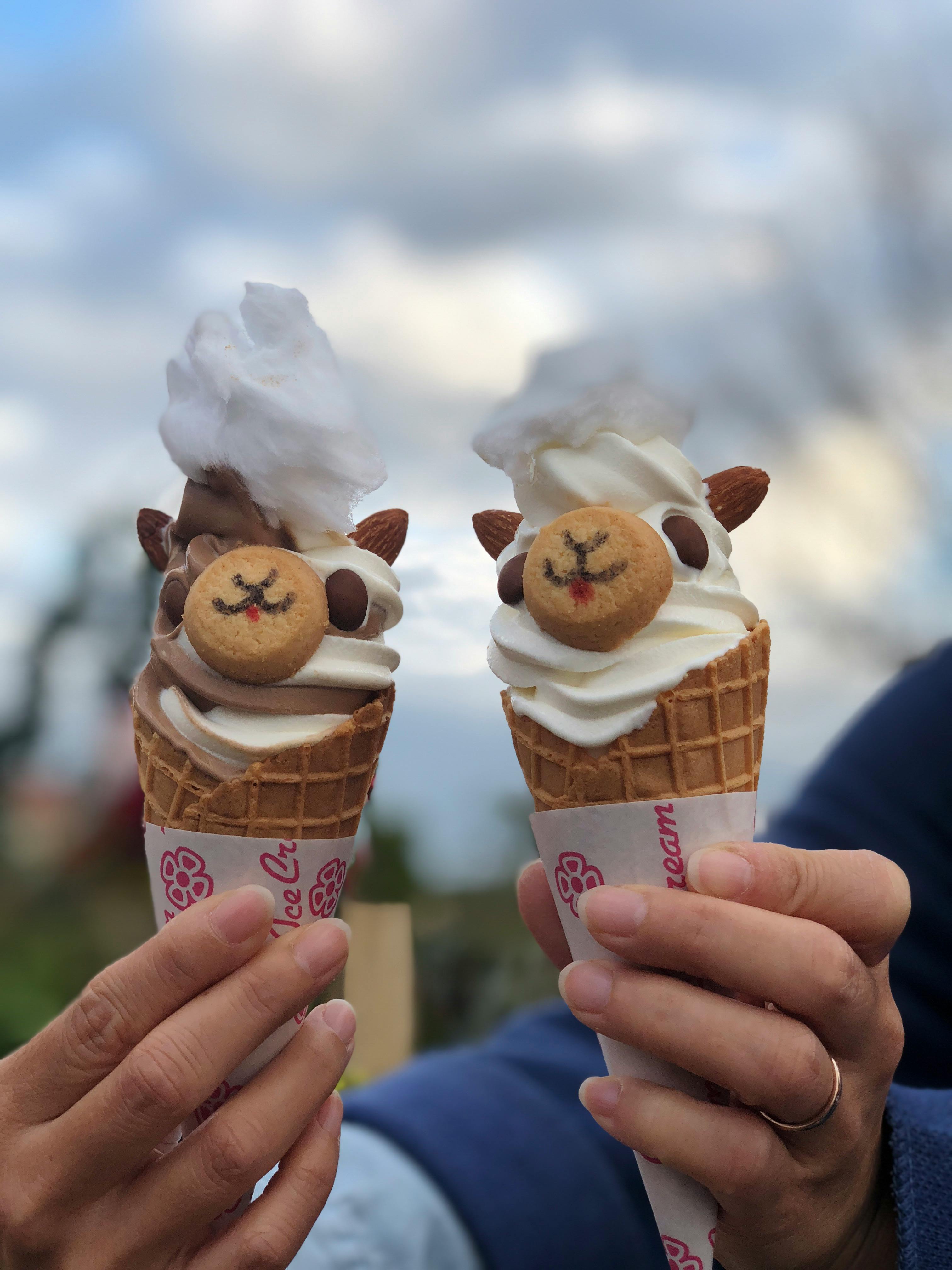 Cute Decorated Ice Cream in Hands · Free Stock Photo