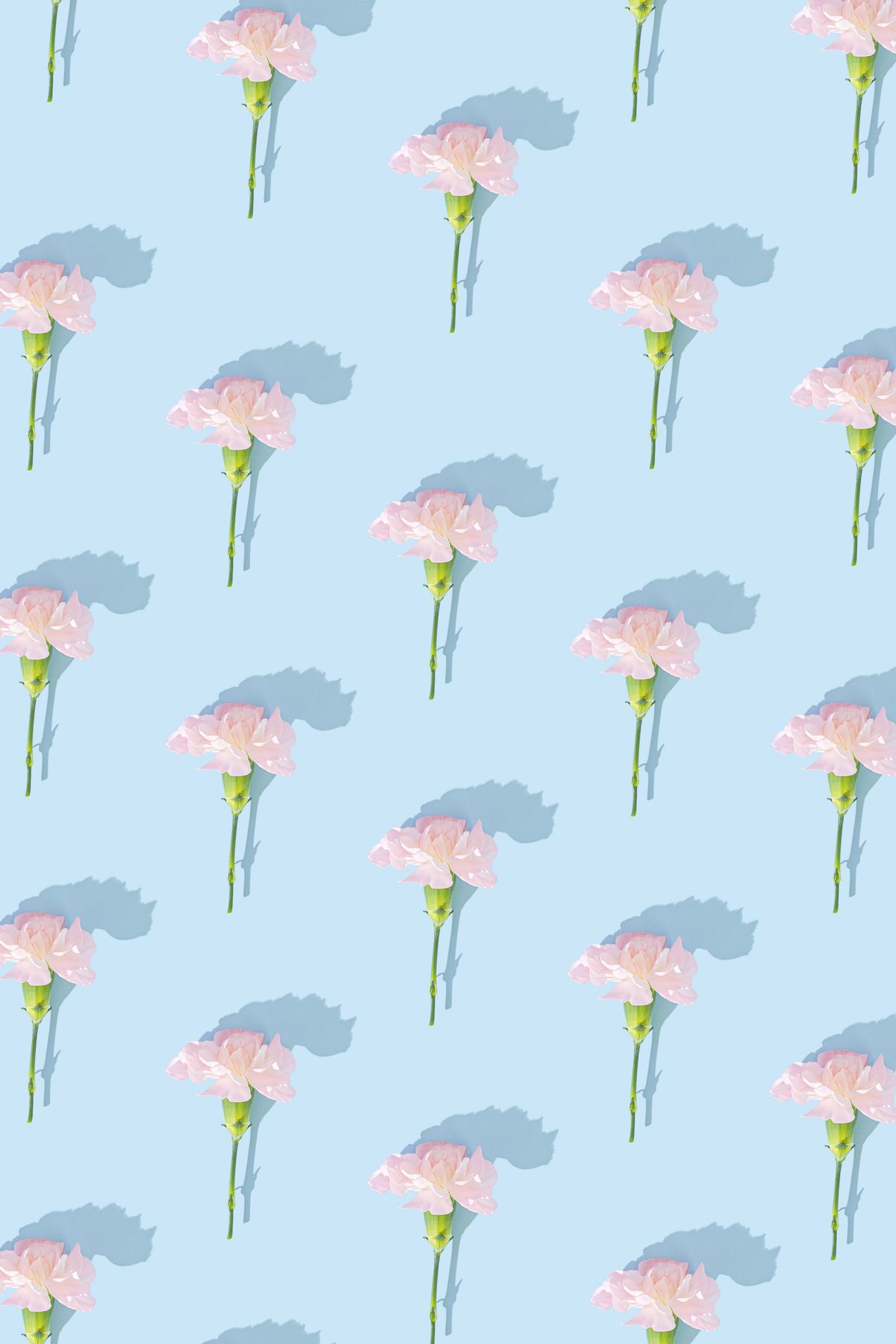Canva Background Photos, Download The BEST Free Canva Background Stock ...