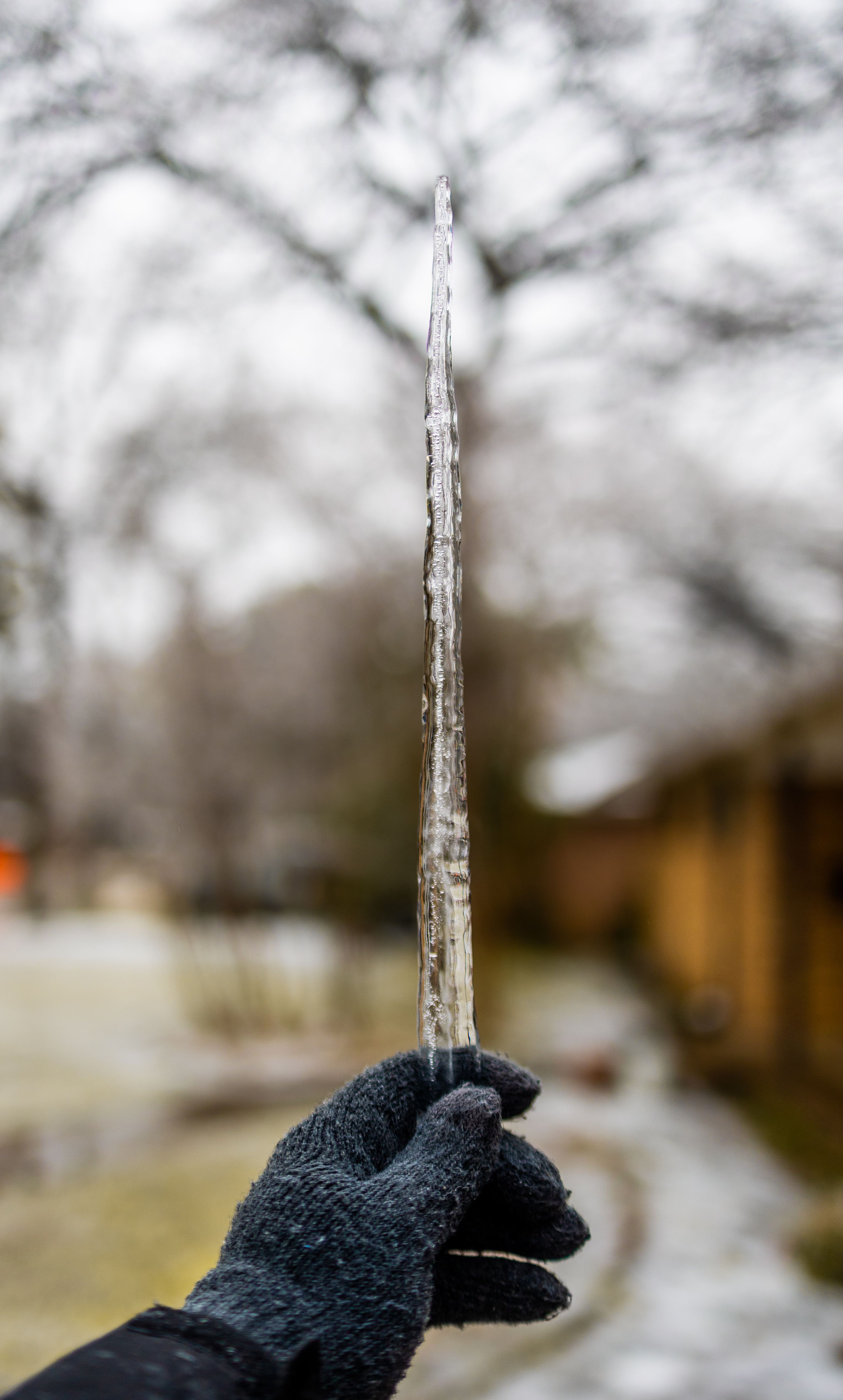 Close-up of Person Hand Holding Icicle · Free Stock Photo