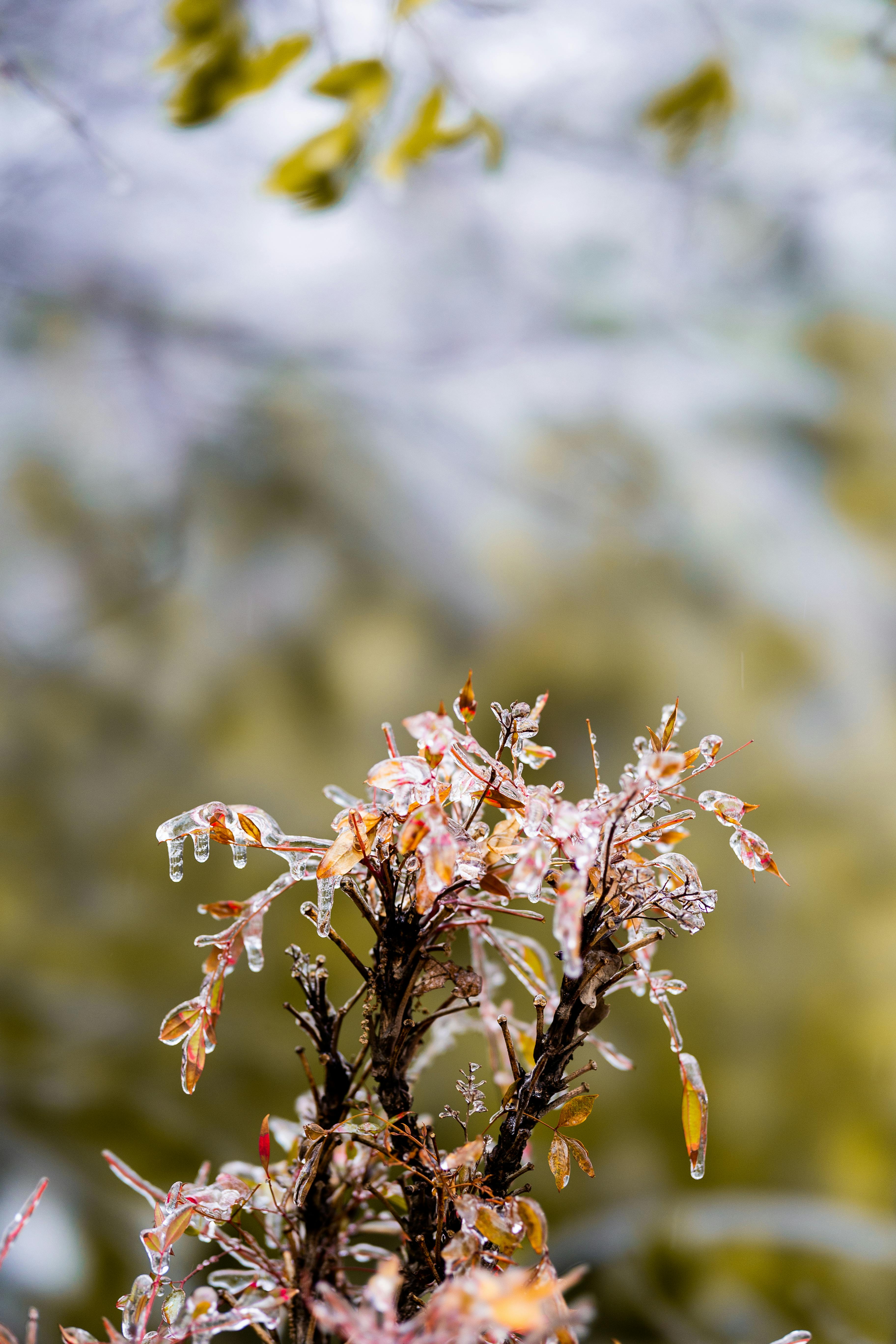 Selective Focus Photography of Blue Dripping Water · Free Stock Photo