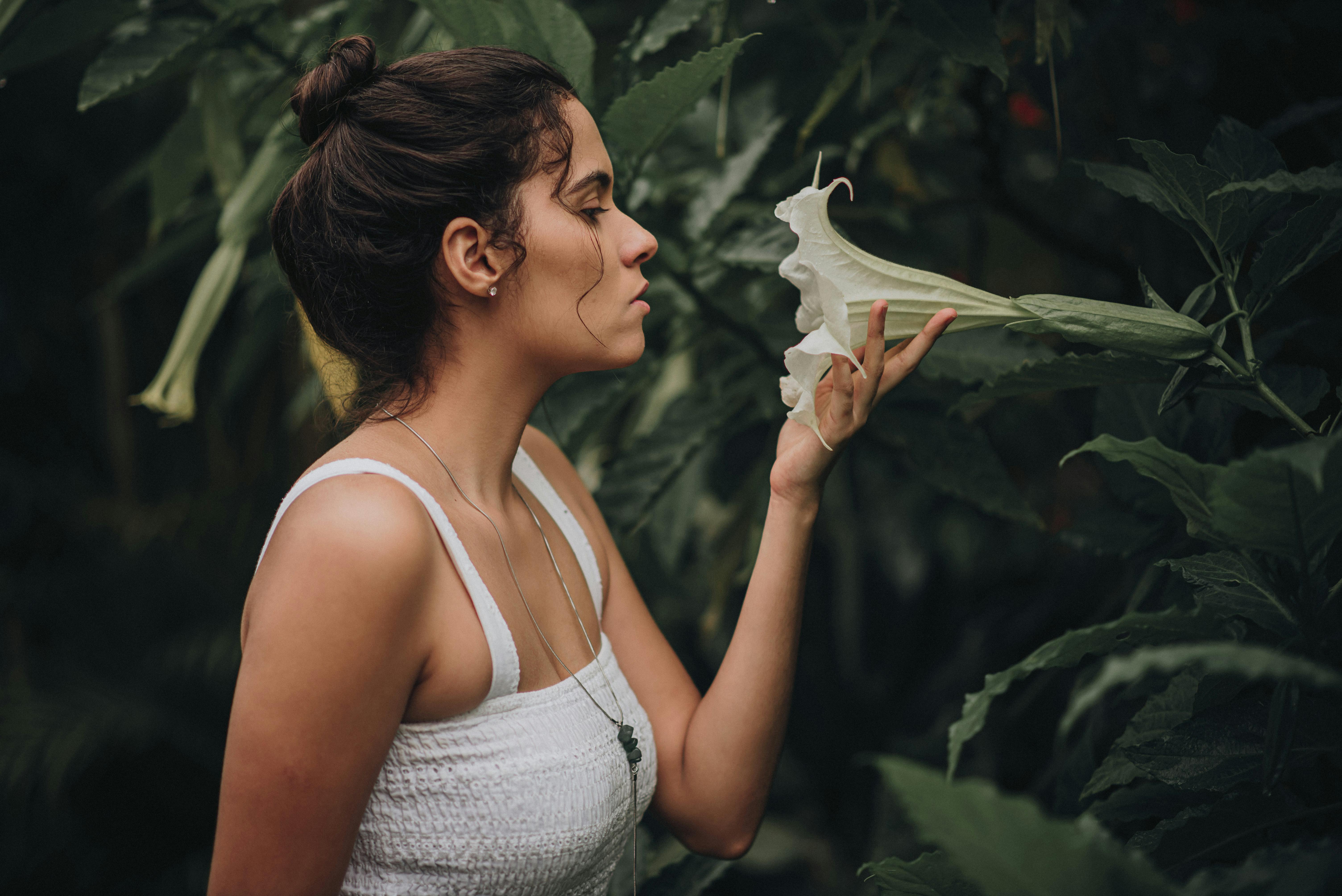 Flower Profile Photo Photos, Download The BEST Free Flower Profile ...