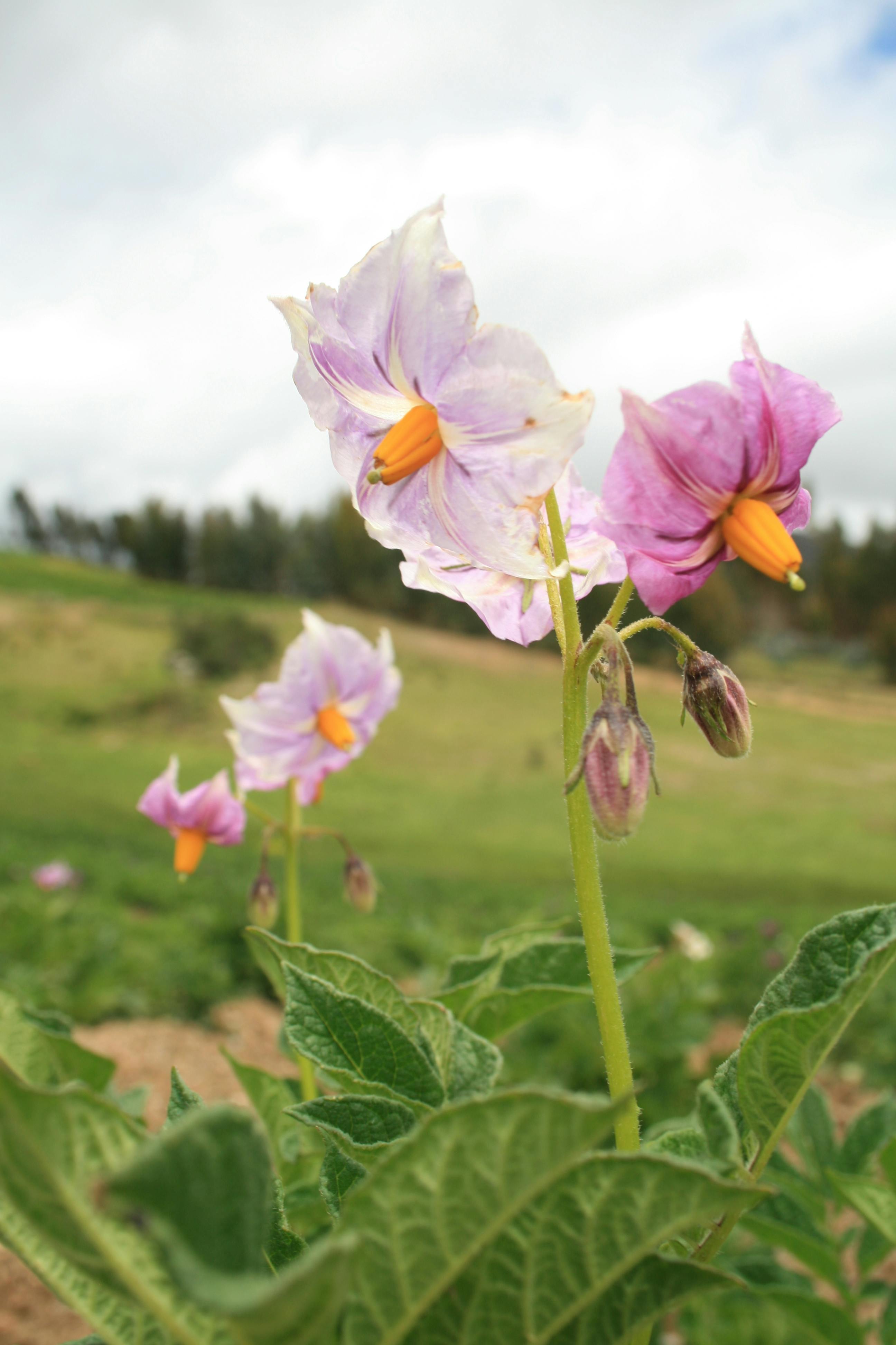 Dark Photo of a Man Standing against a Waterfall · Free Stock Photo