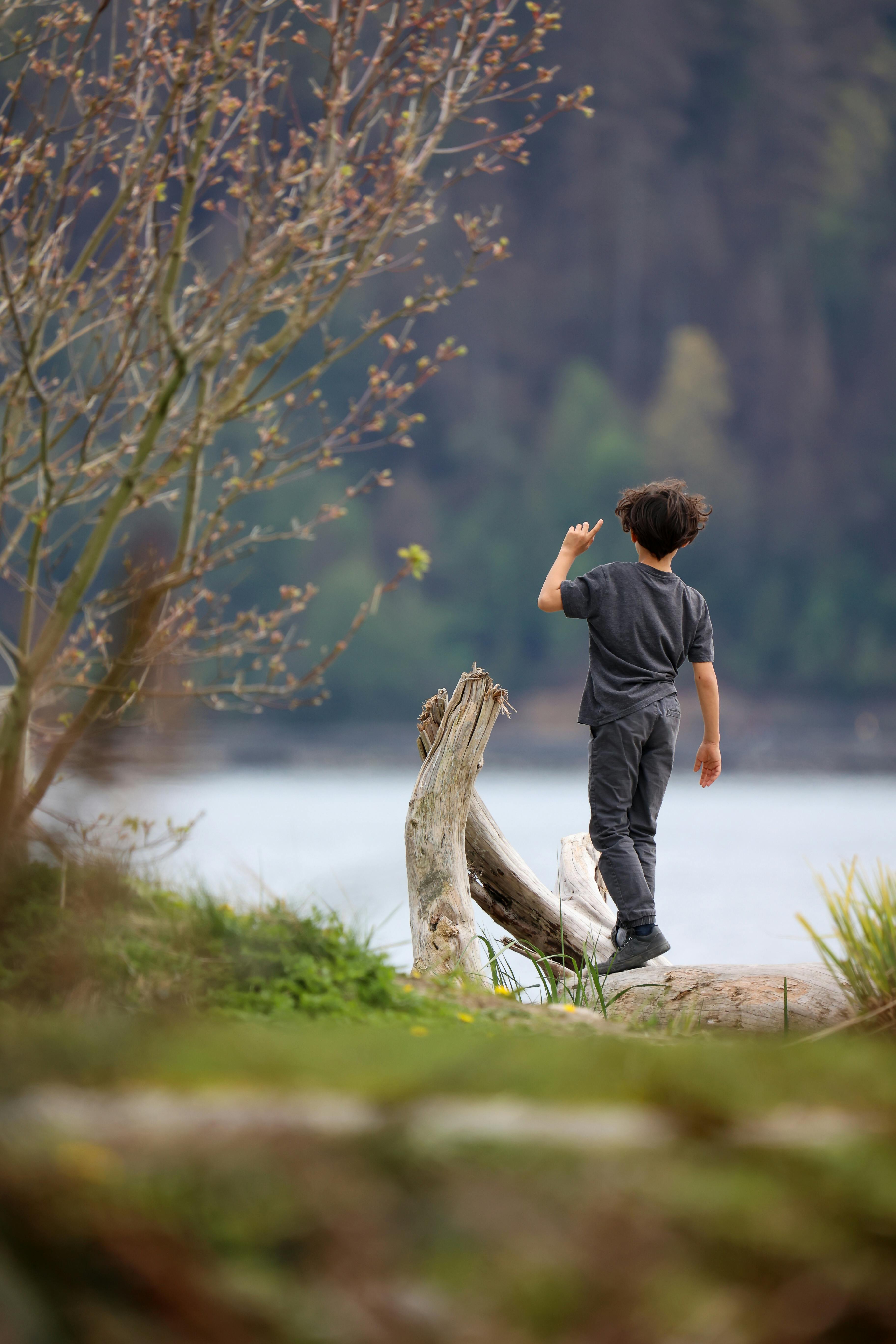 Children Standing on Trunk of Isuzu Truck · Free Stock Photo