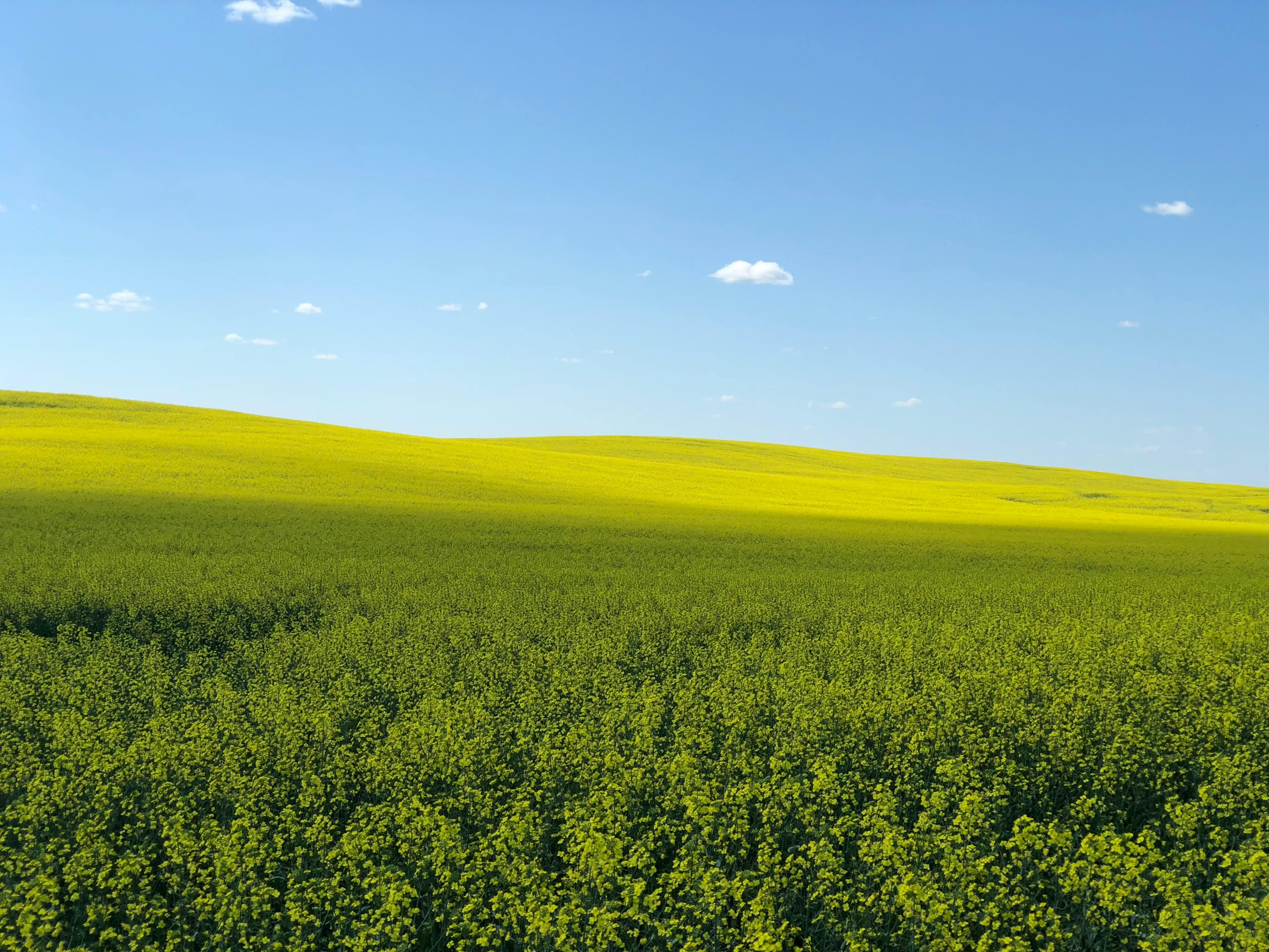 Agricultural Field Photos, Download The BEST Free Agricultural Field ...