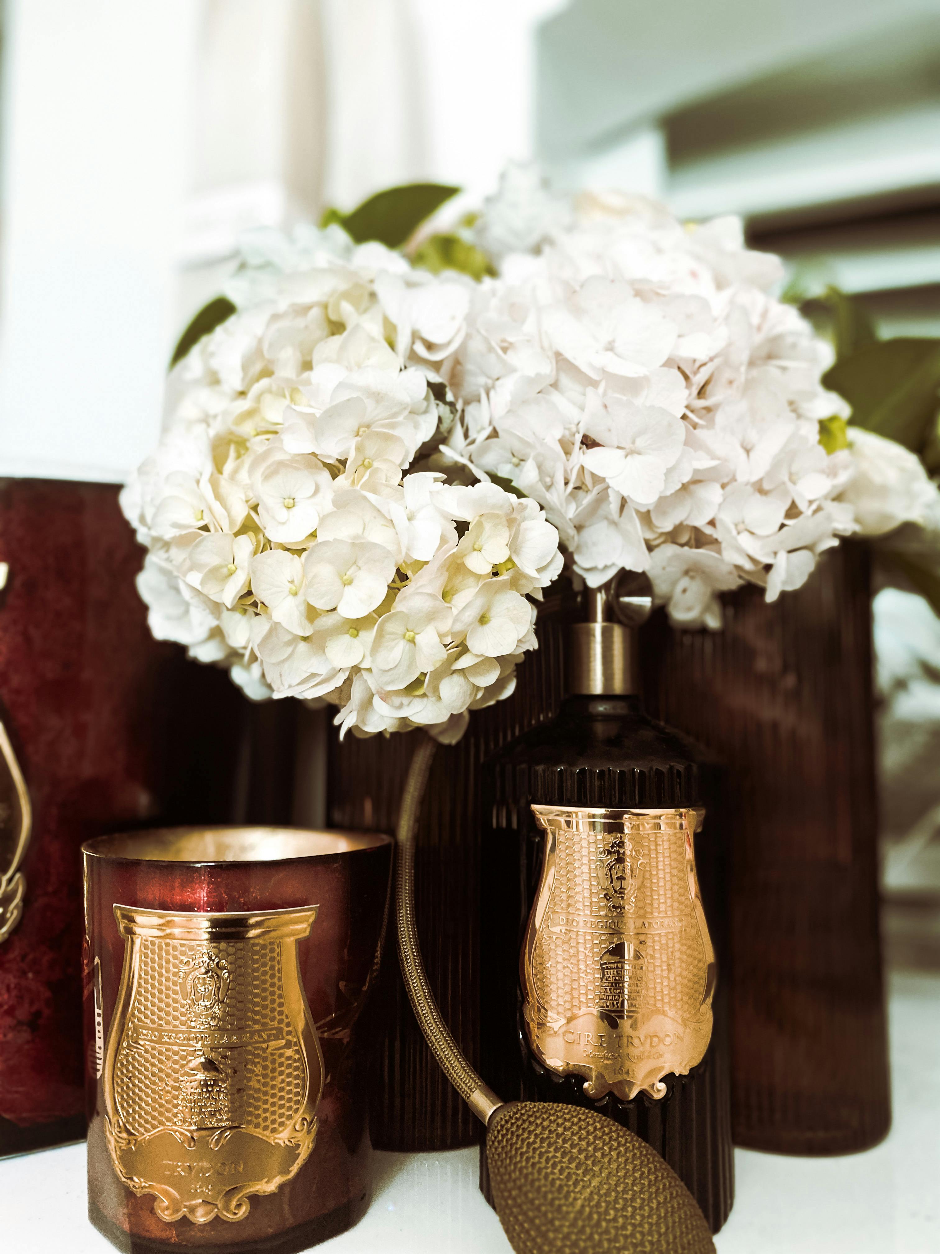 Close-up of a Perfume Bottle · Free Stock Photo