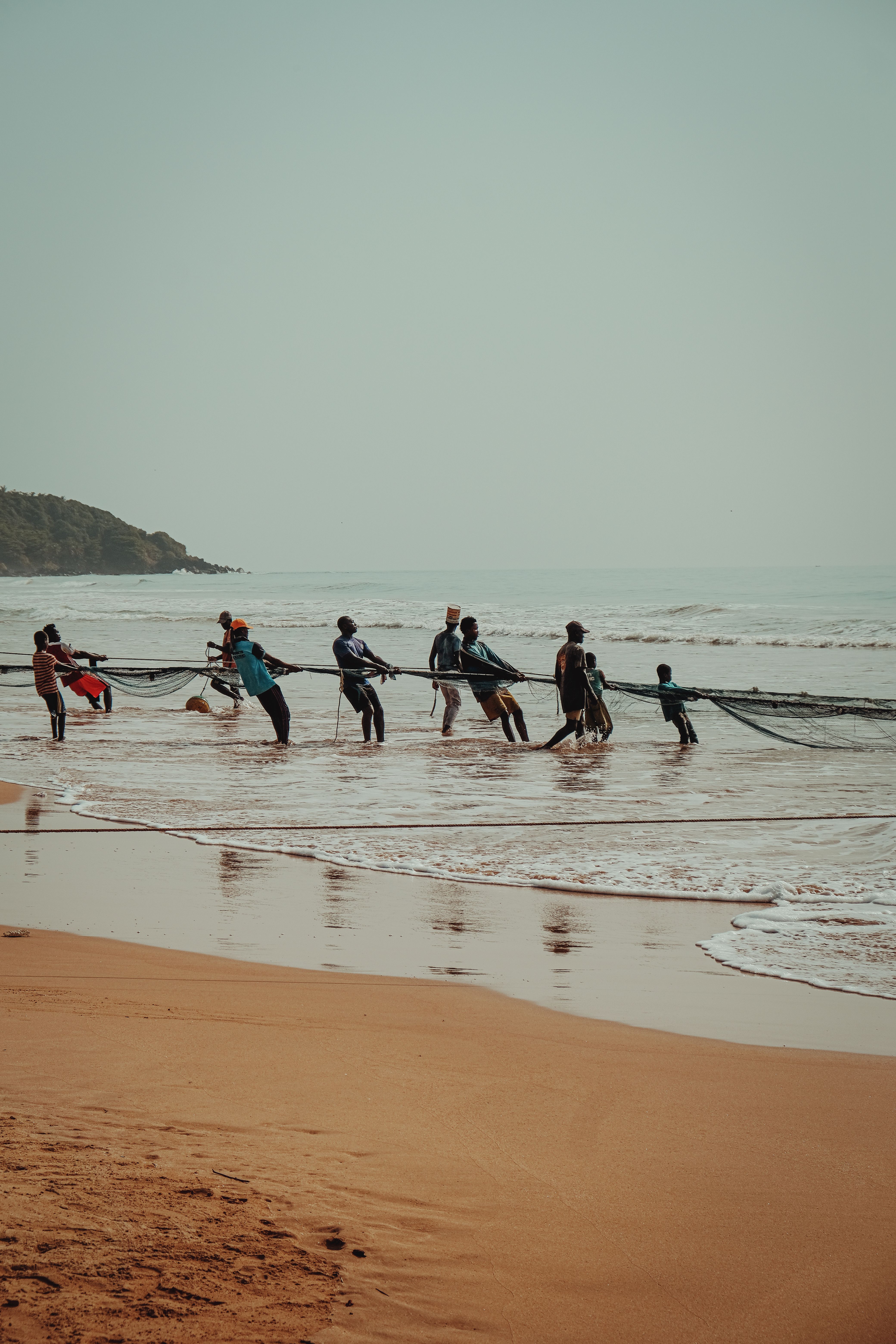 People Towing Fishing Net on Sea Shore · Free Stock Photo