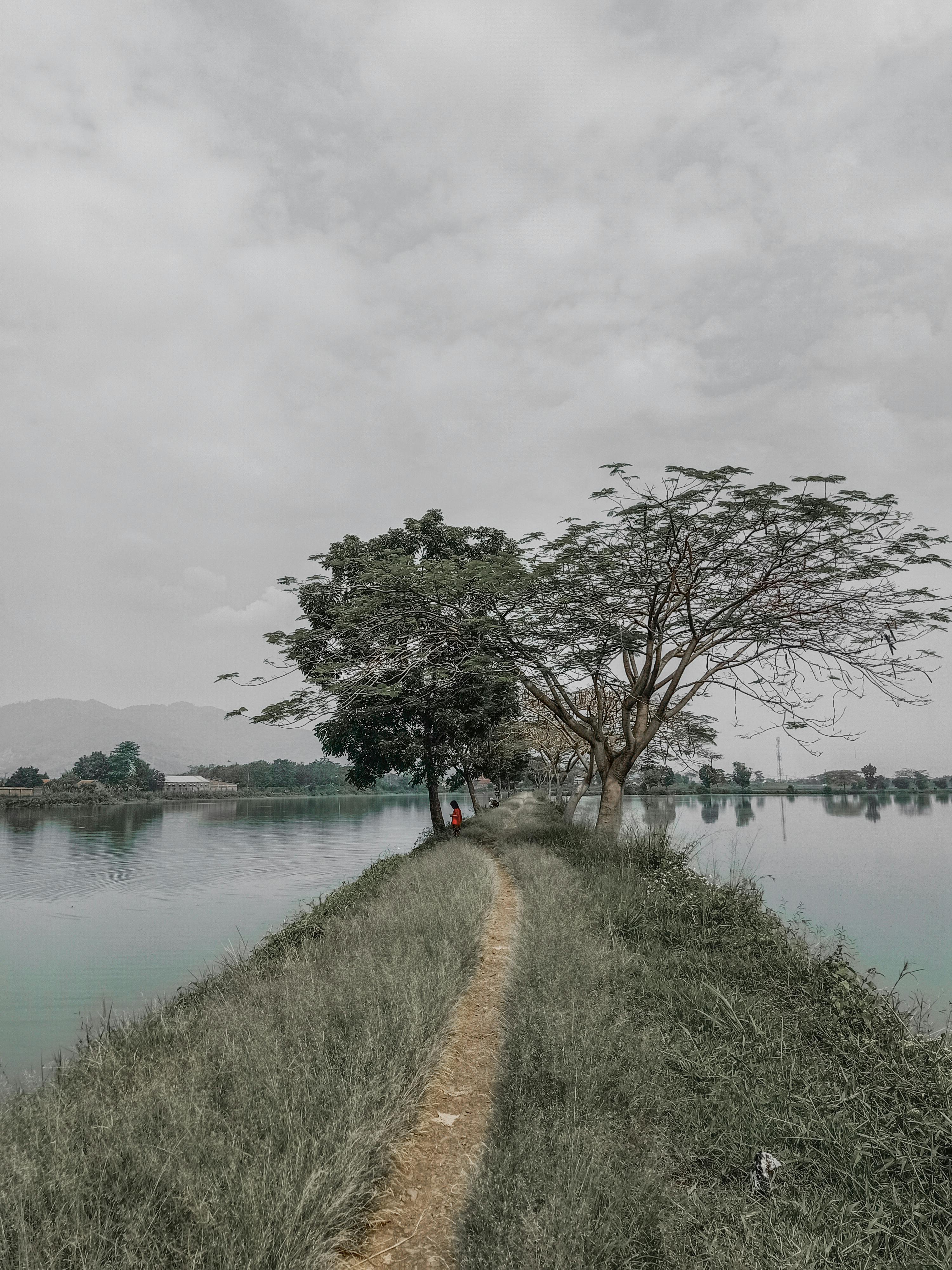 Fahmi Ramdhani - Fotografi