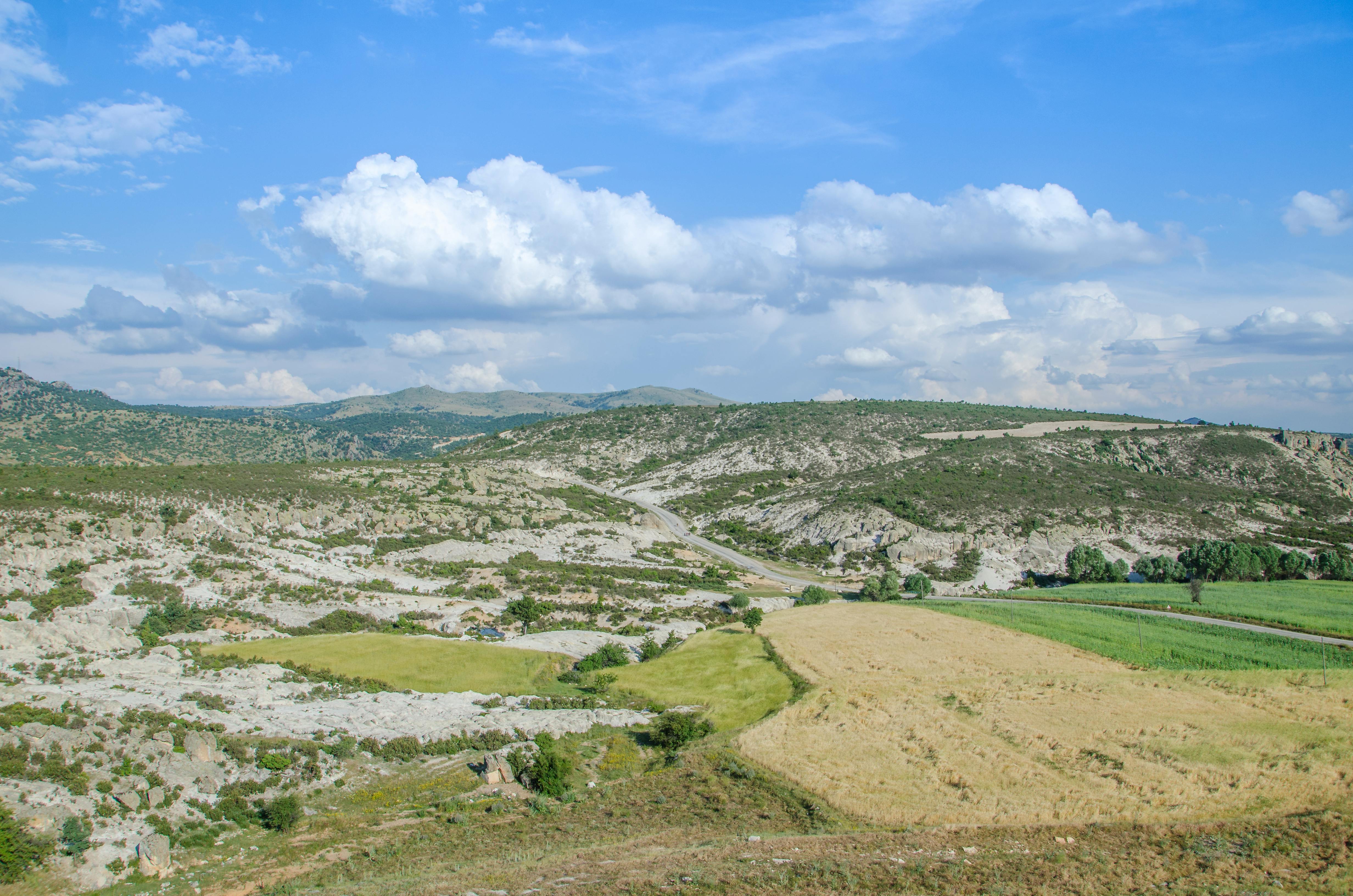 Naturel Photos, Download The BEST Free Naturel Stock Photos & HD Images