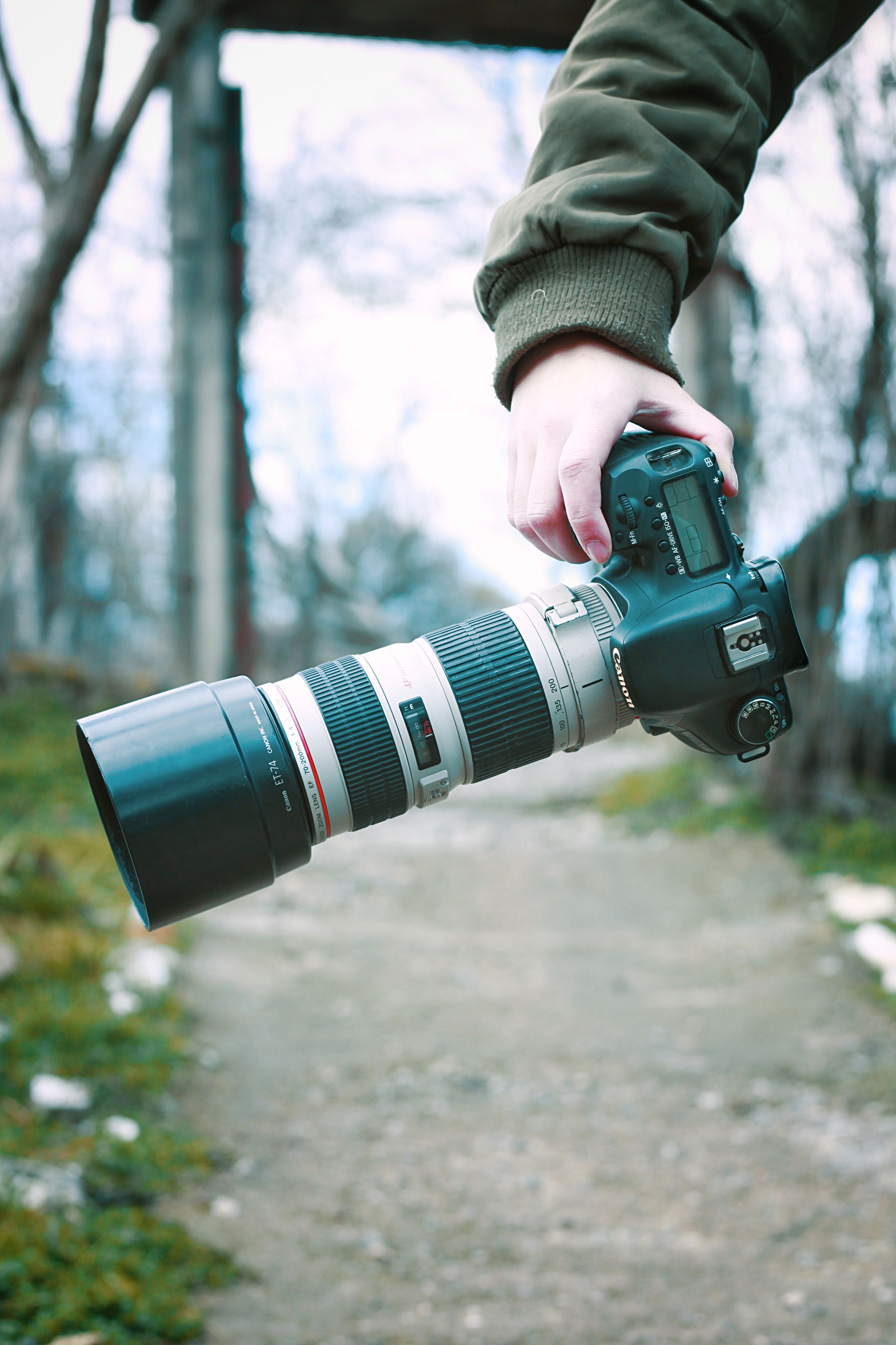 Woman Holding a Camera Sitting on Bench · Free Stock Photo