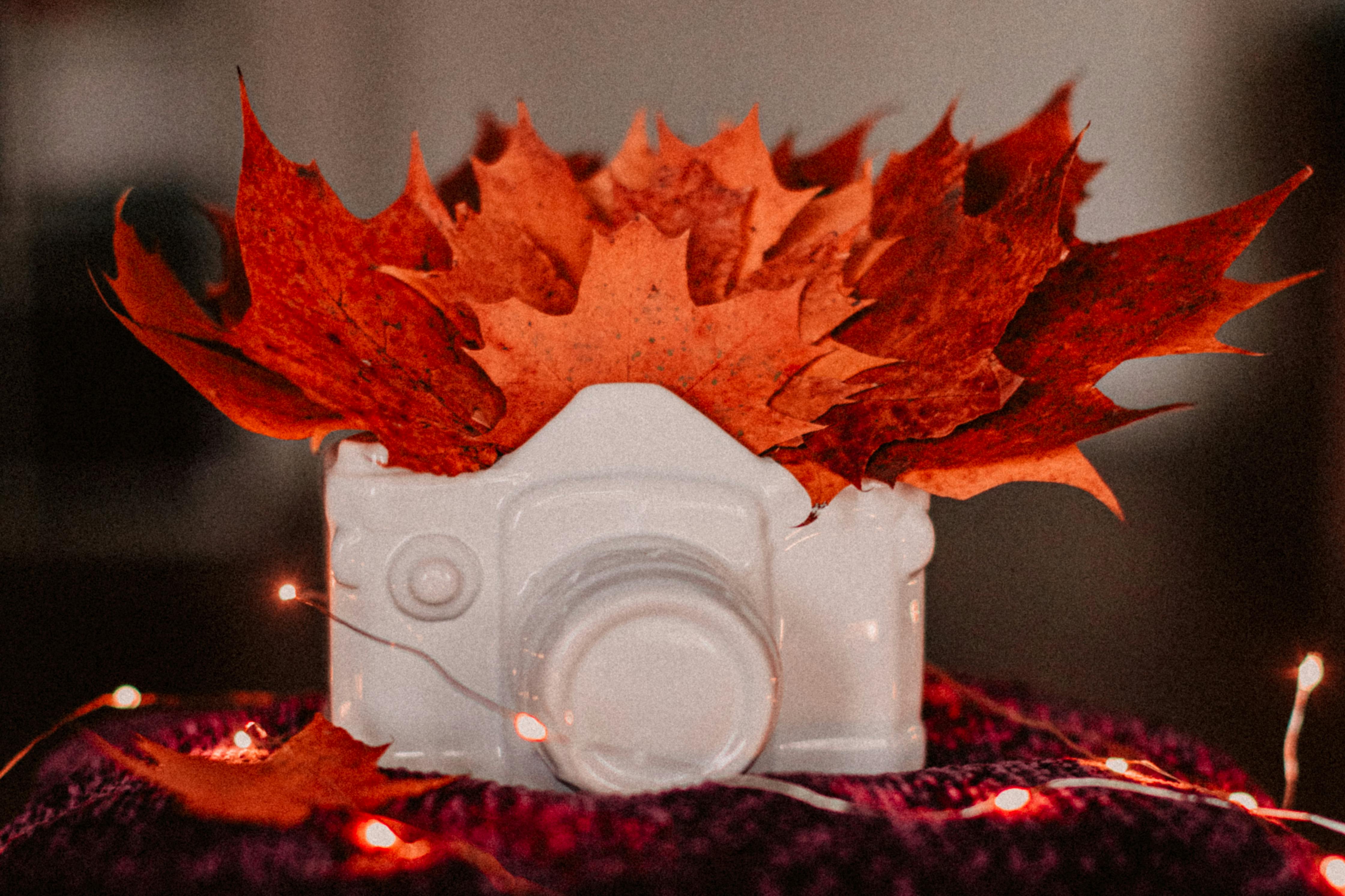 Liliāna Legzdiņa - Photography