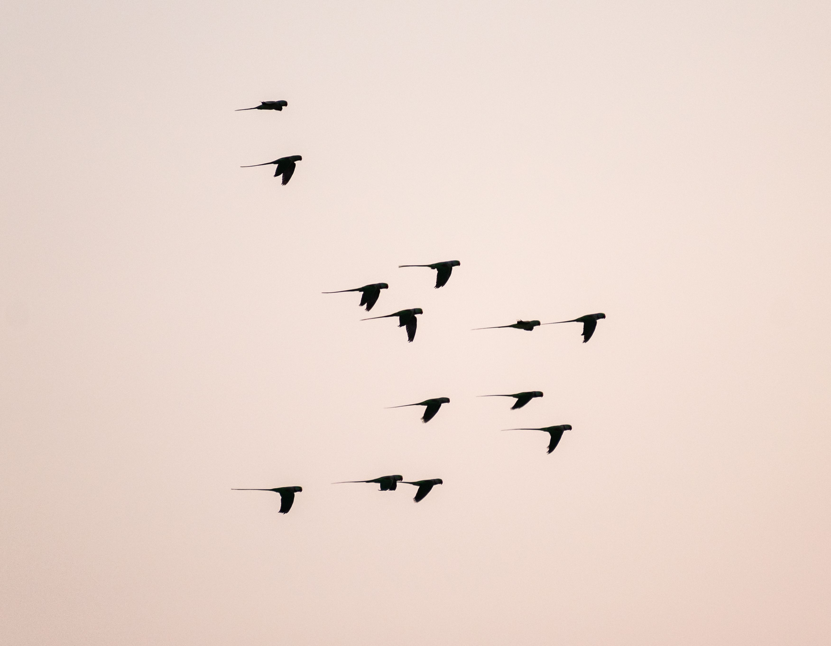 Foto de stock gratuita sobre aéreo, al aire libre, altísimo, armonía ...