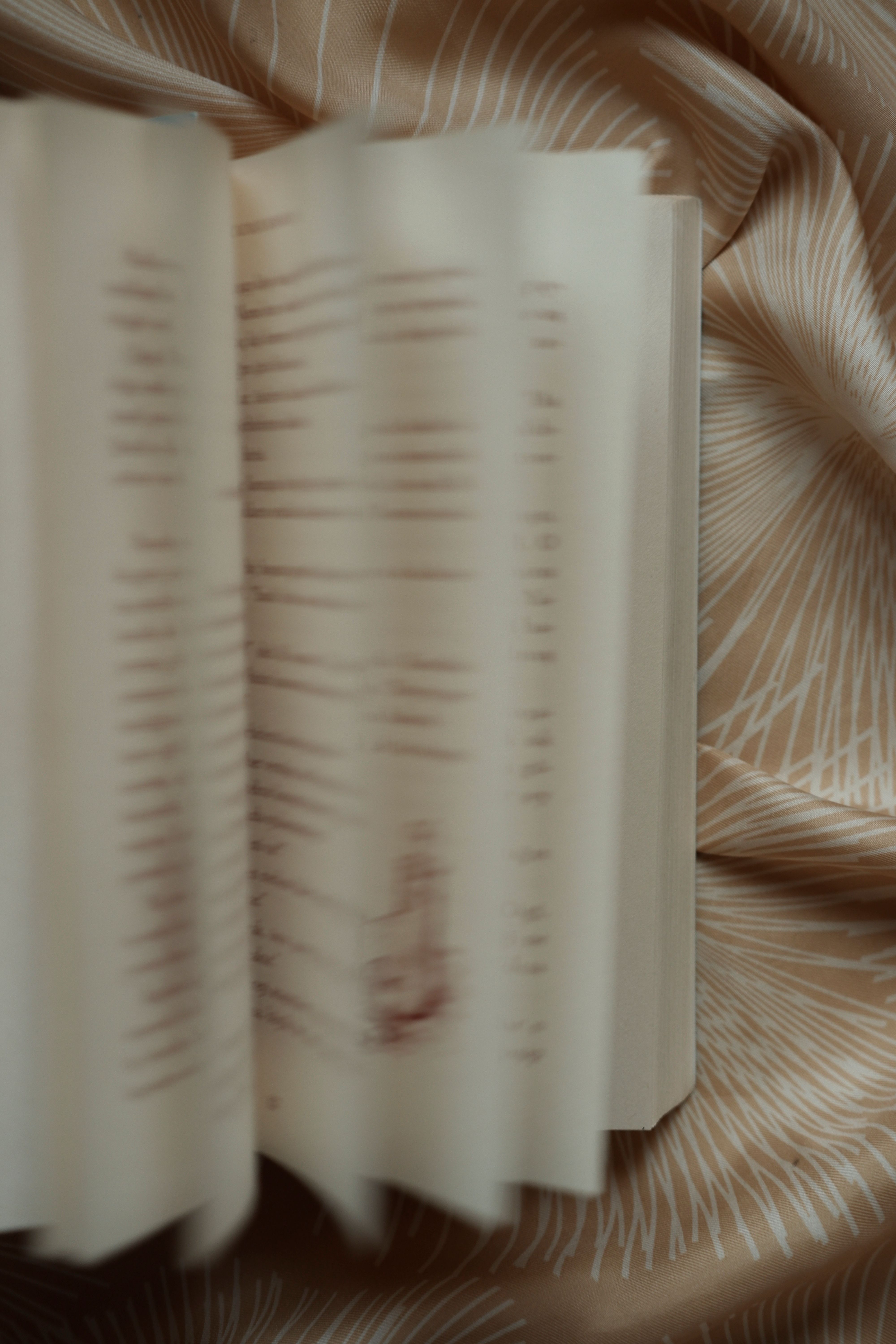 Close-Up Shot of a Book · Free Stock Photo