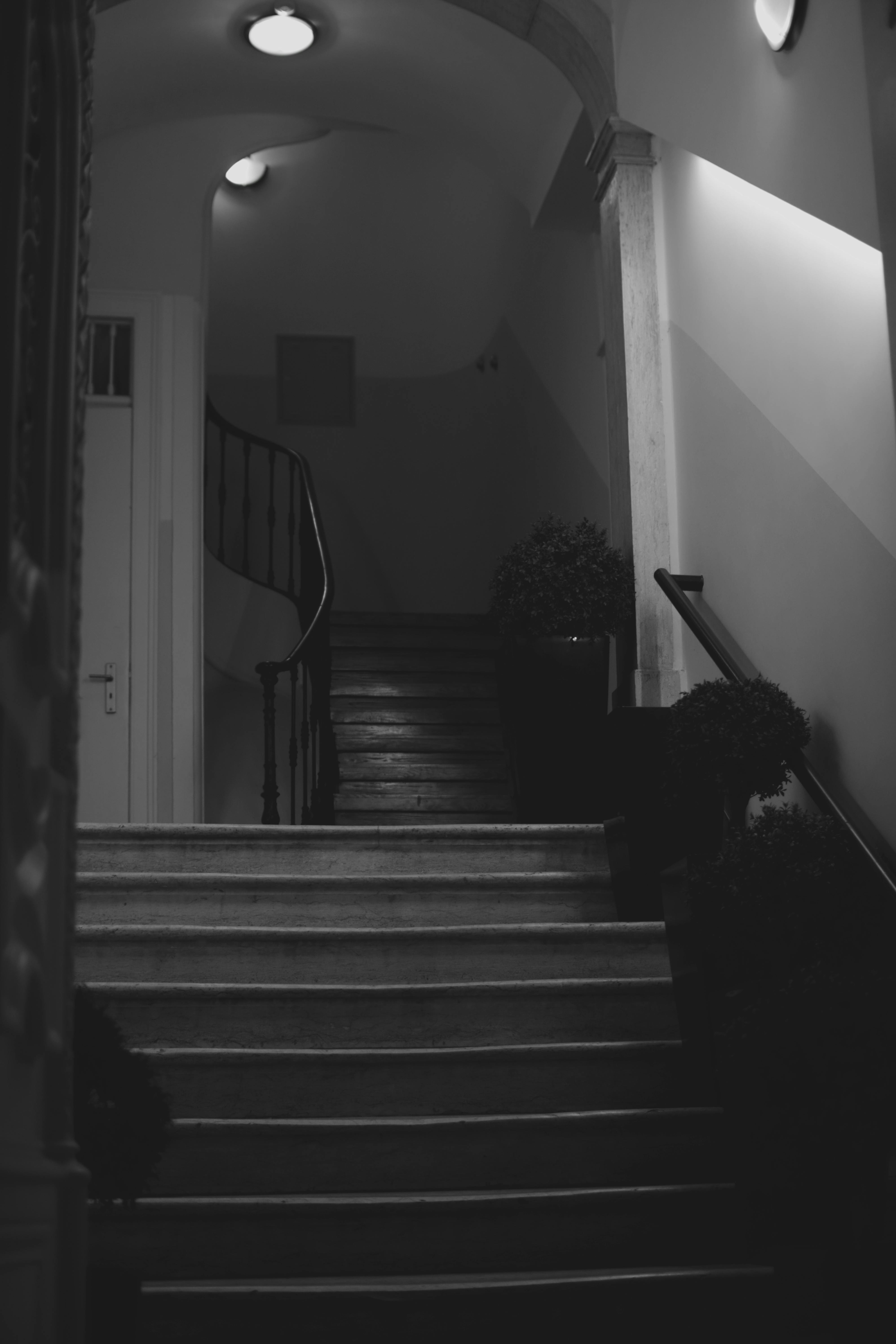 1920s Black And White Foyer Staircase 55 Fabulous Foyers | The Study