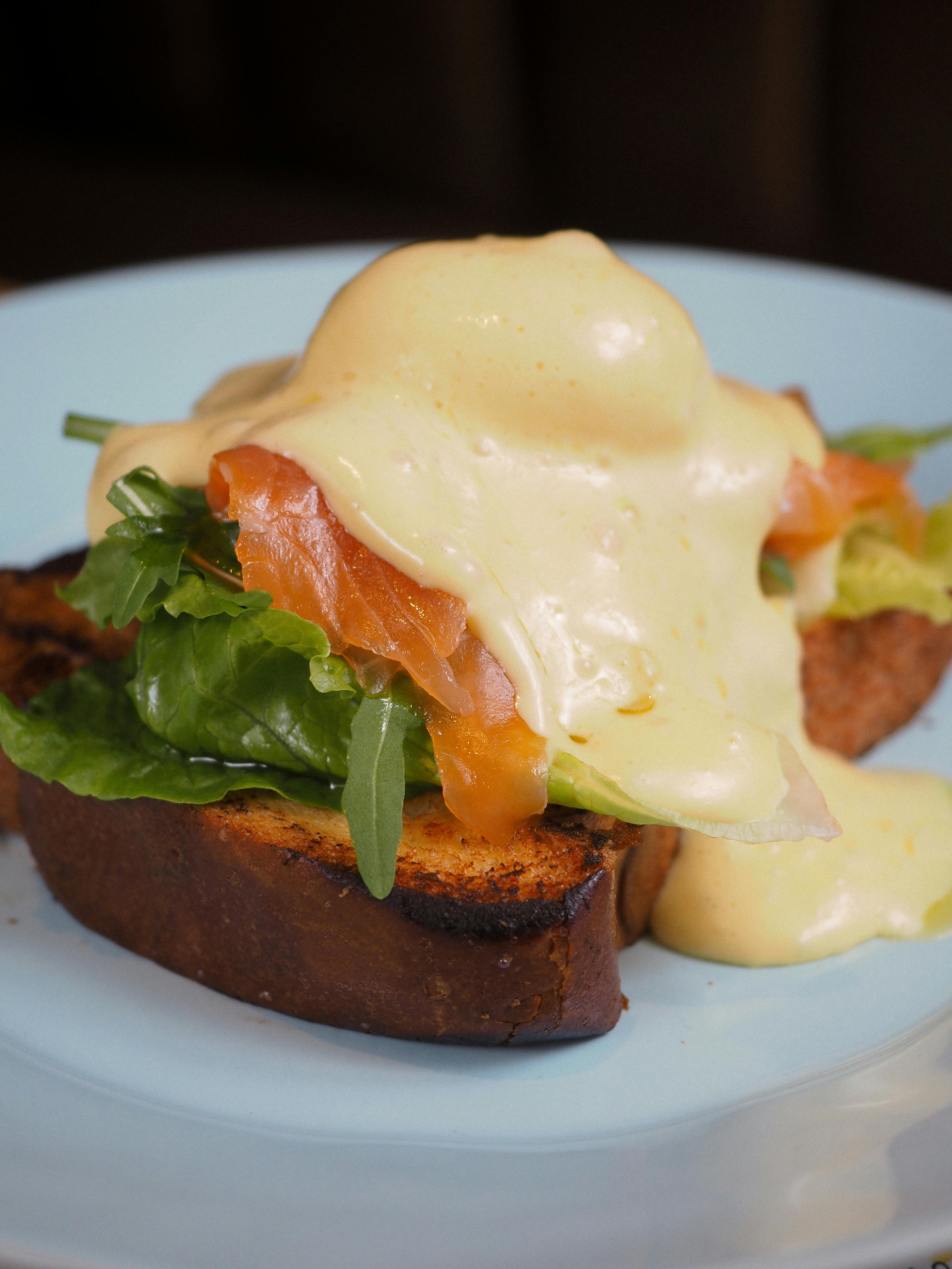 Fish Plate Photos, Download The BEST Free Fish Plate Stock Photos & HD ...