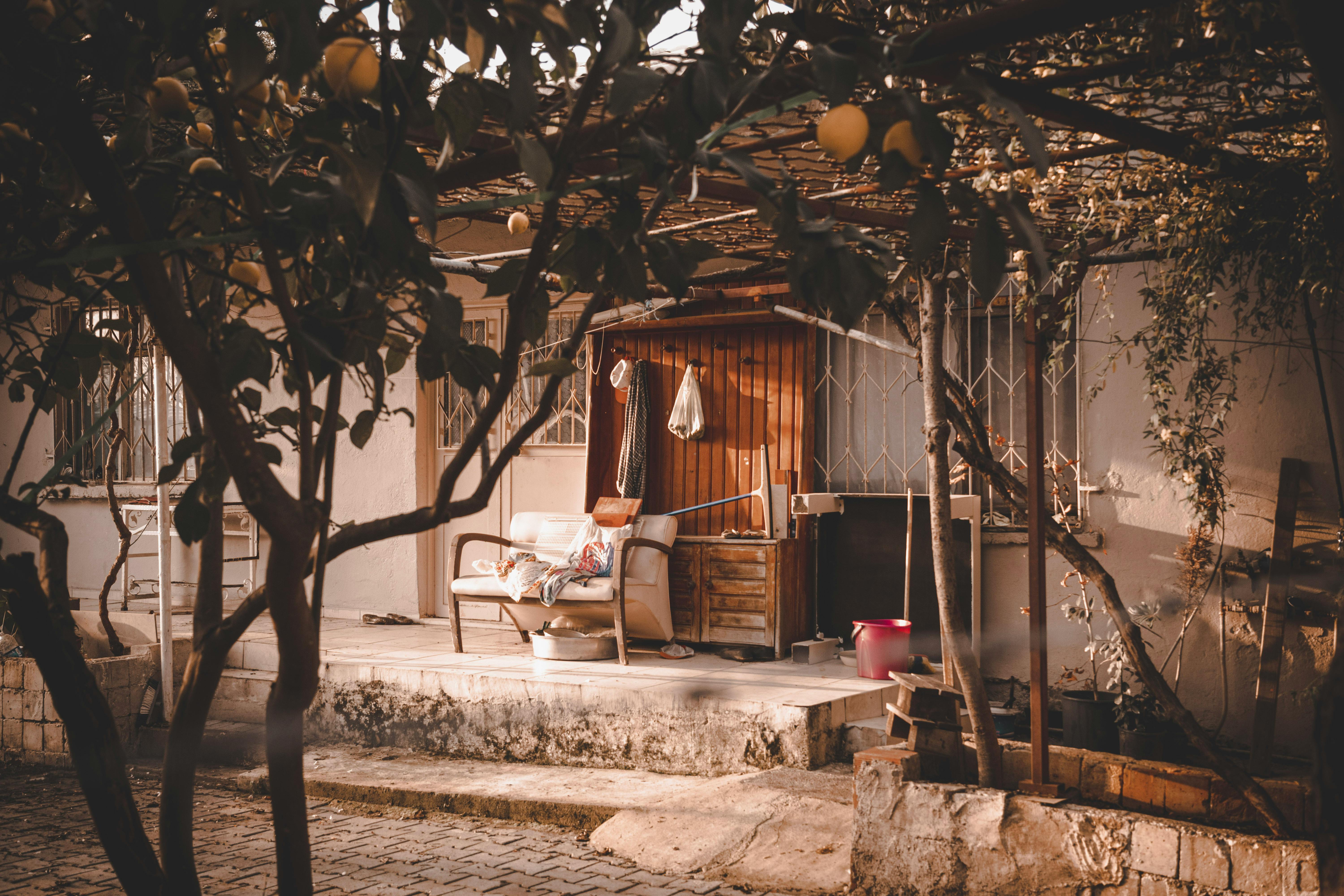 Lemon Tree outside a House · Free Stock Photo