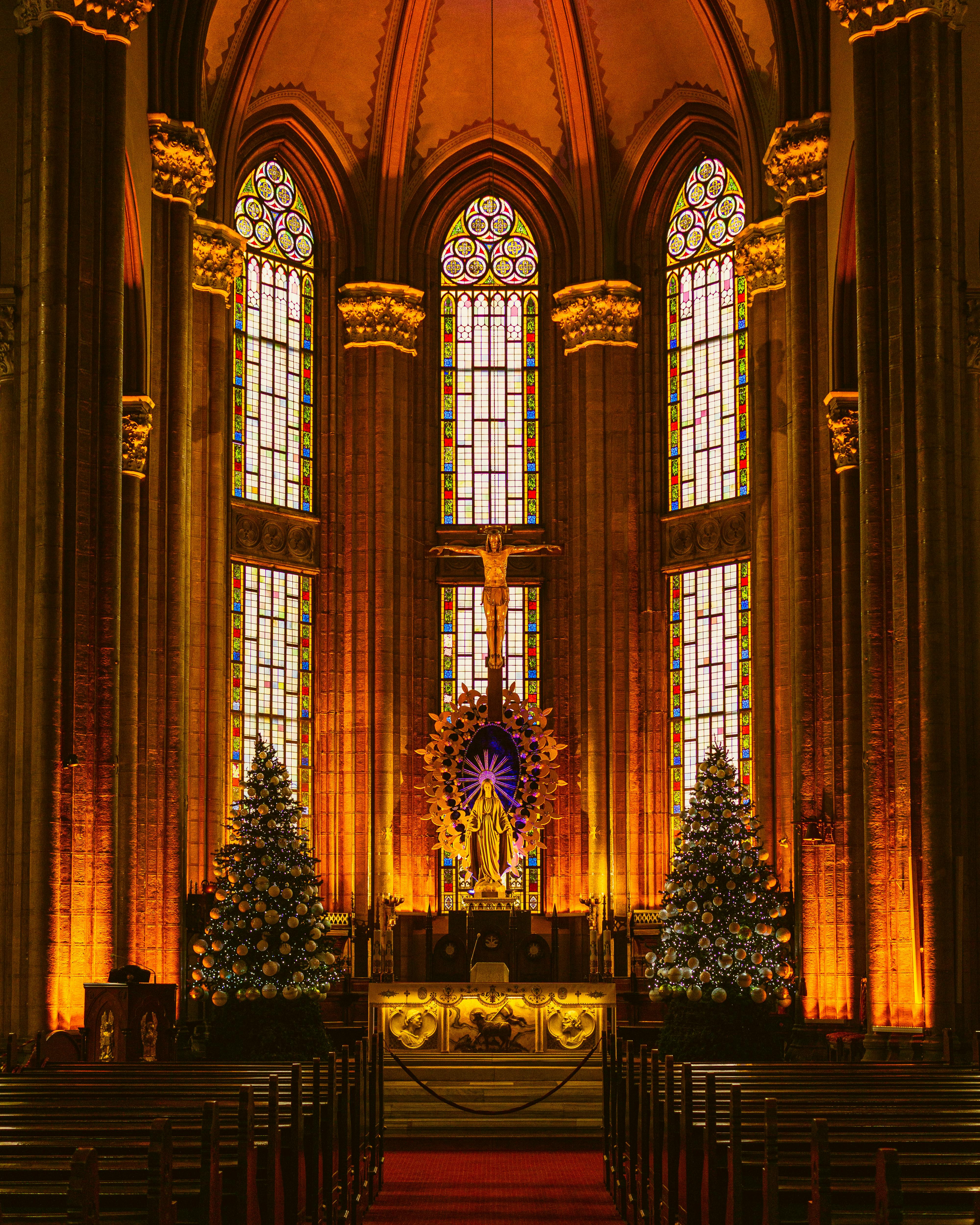 Christmas Trees near Altar in Church · Free Stock Photo