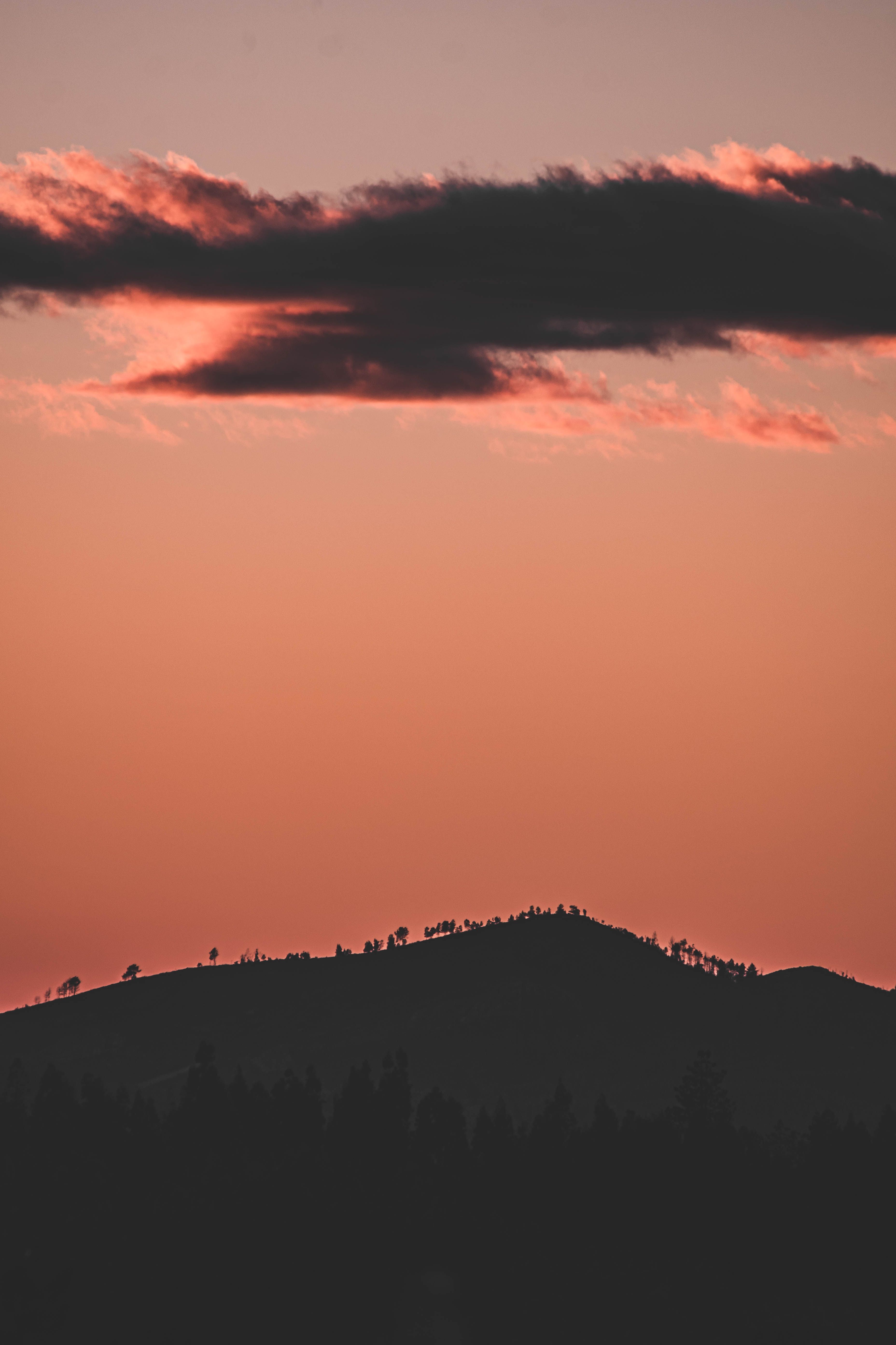 Pink Sunset Sky · Free Stock Photo