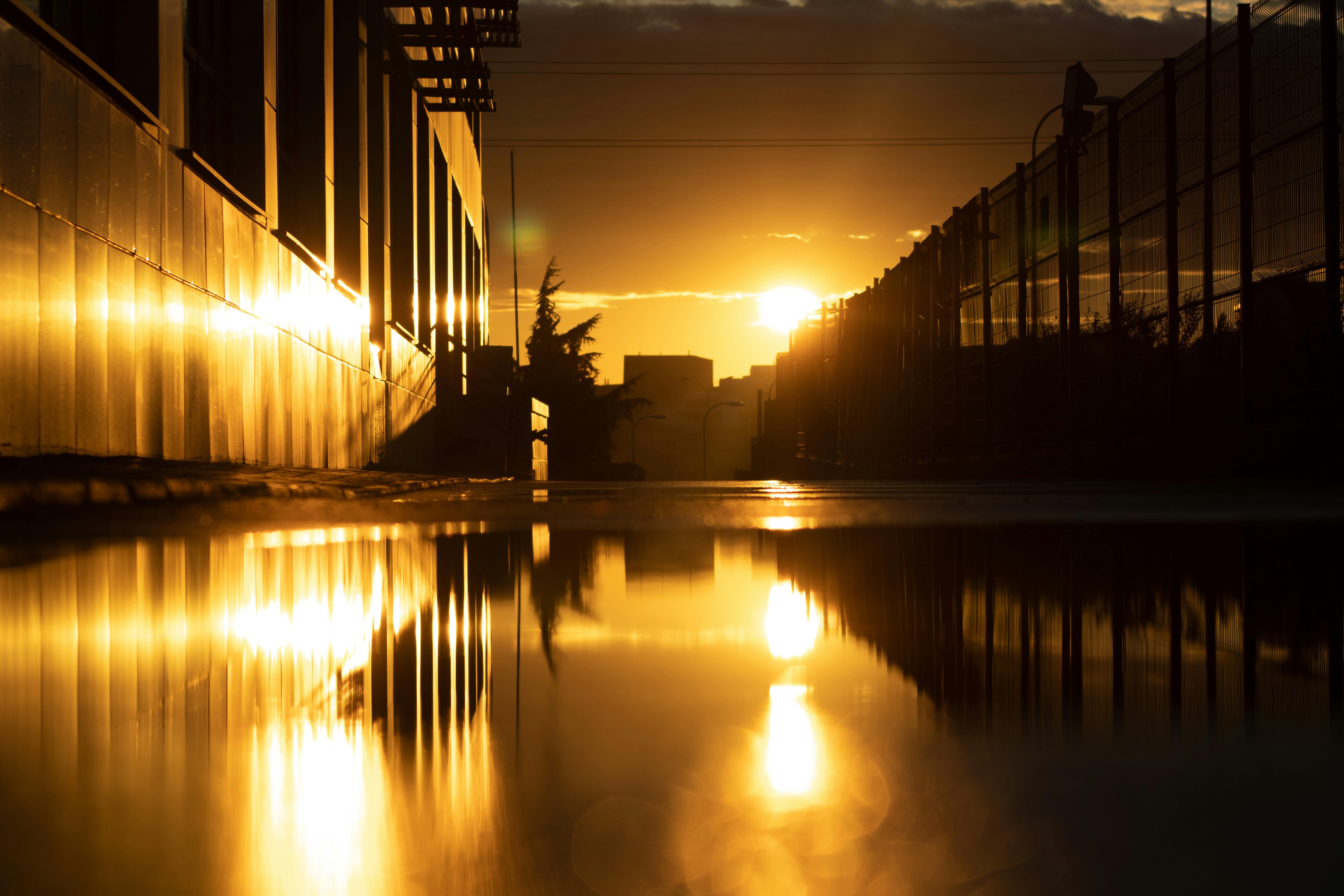 Sunlight over Water on Street in City at Sunset · Free Stock Photo