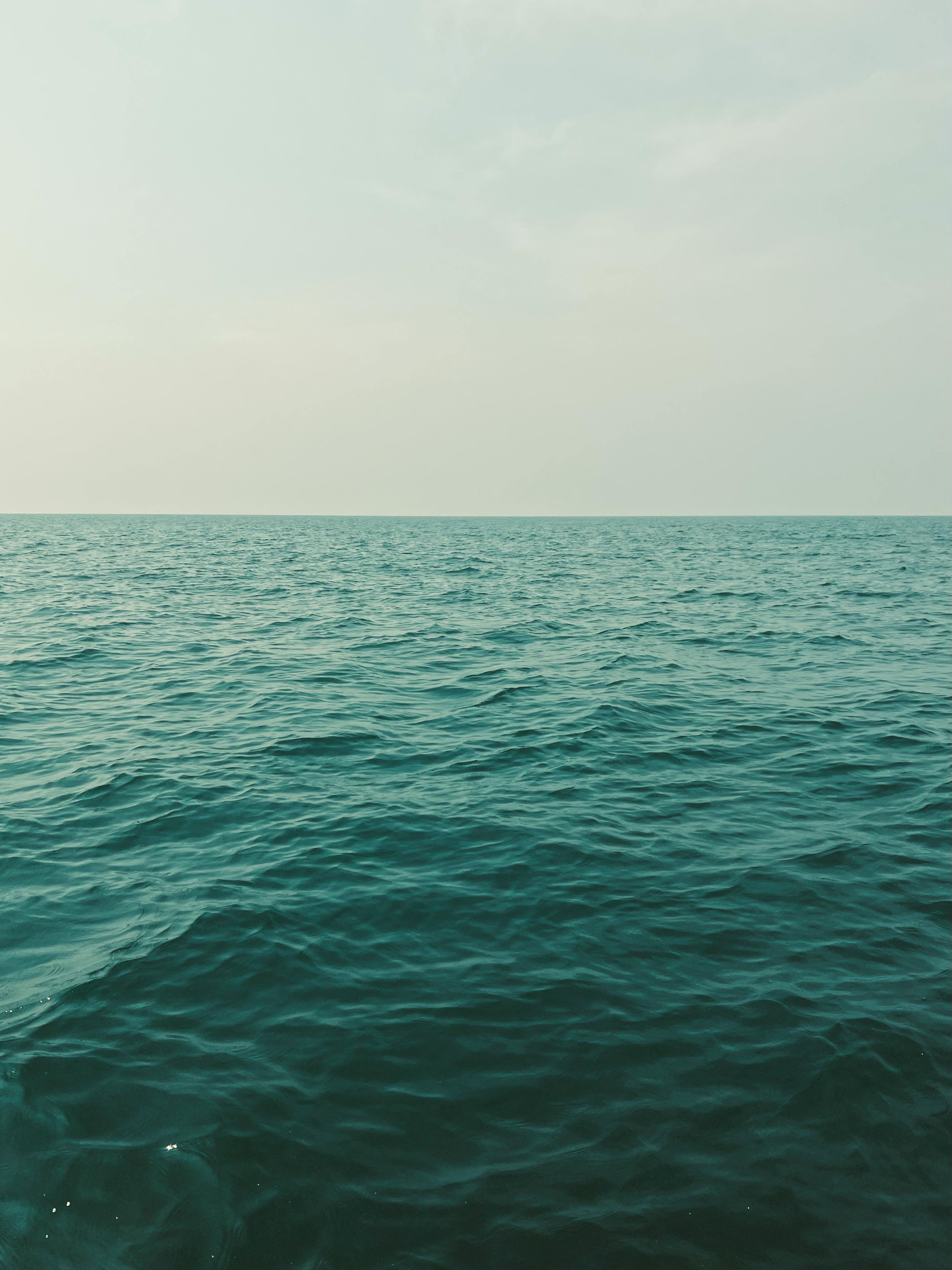 Pepe Teal Photos, Download The BEST Free Pepe Teal Stock Photos & HD Images