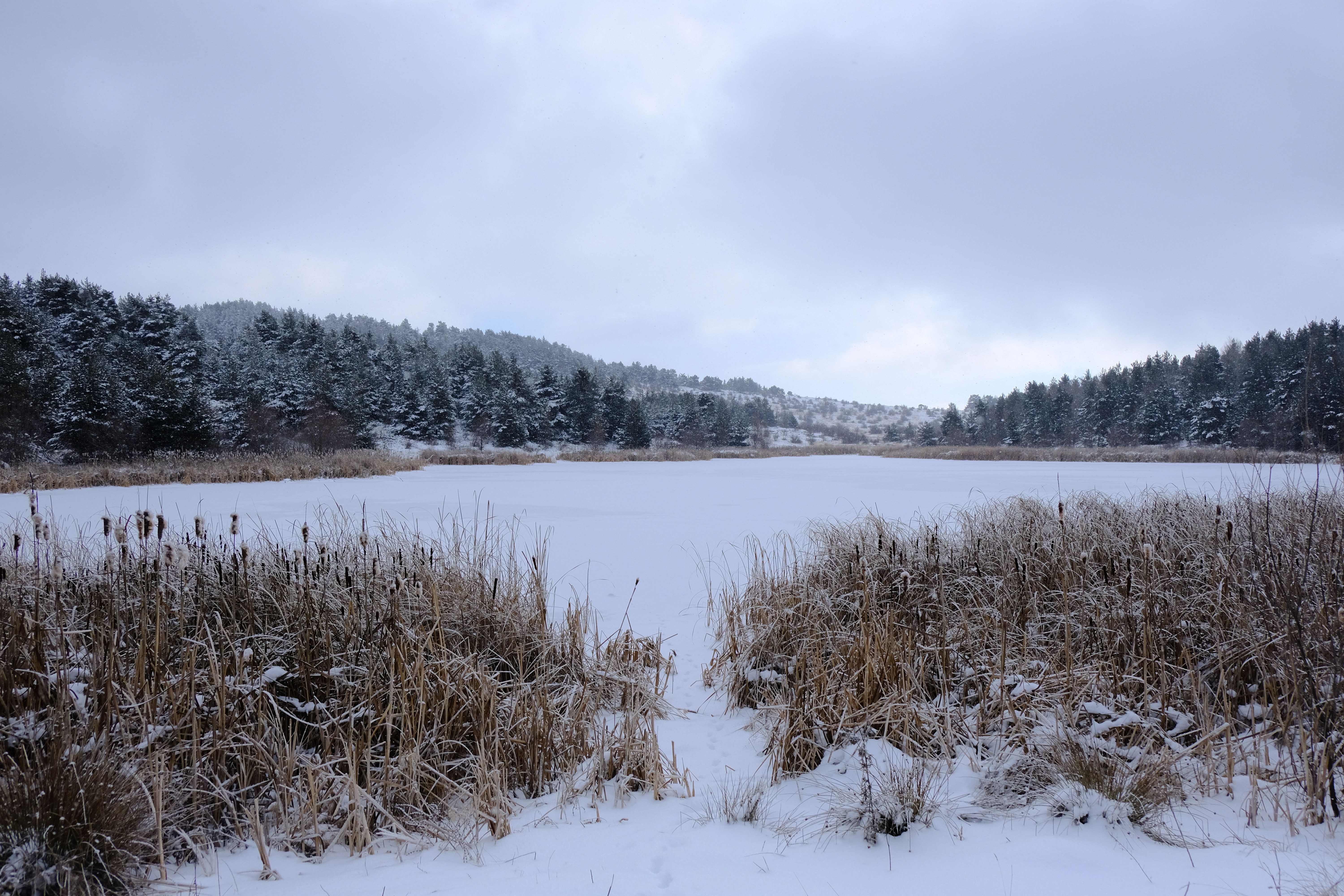 Frozen Lake Surface Covered in Snow · Free Stock Photo