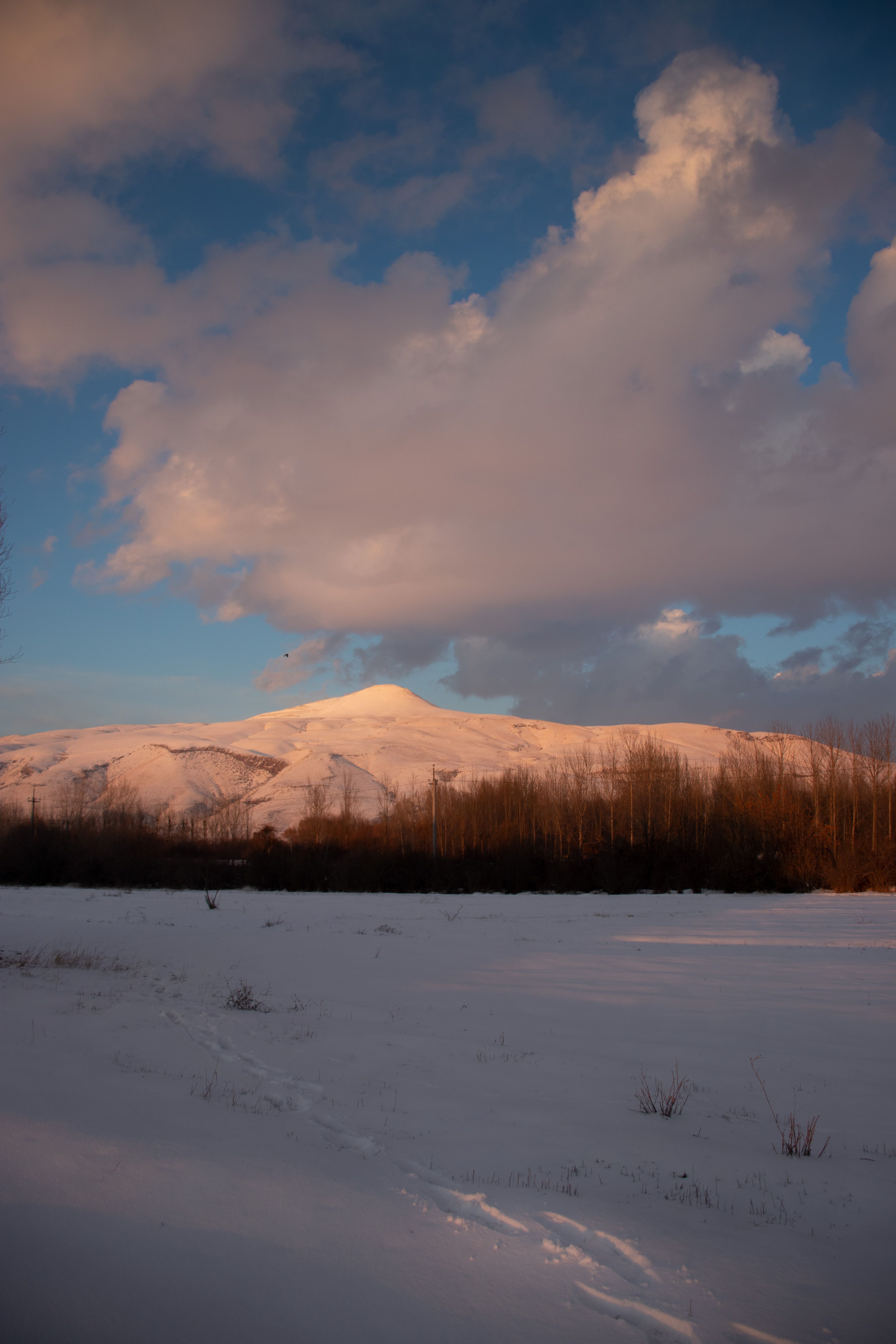 Field in Snow in Countryside on Sunset · Free Stock Photo
