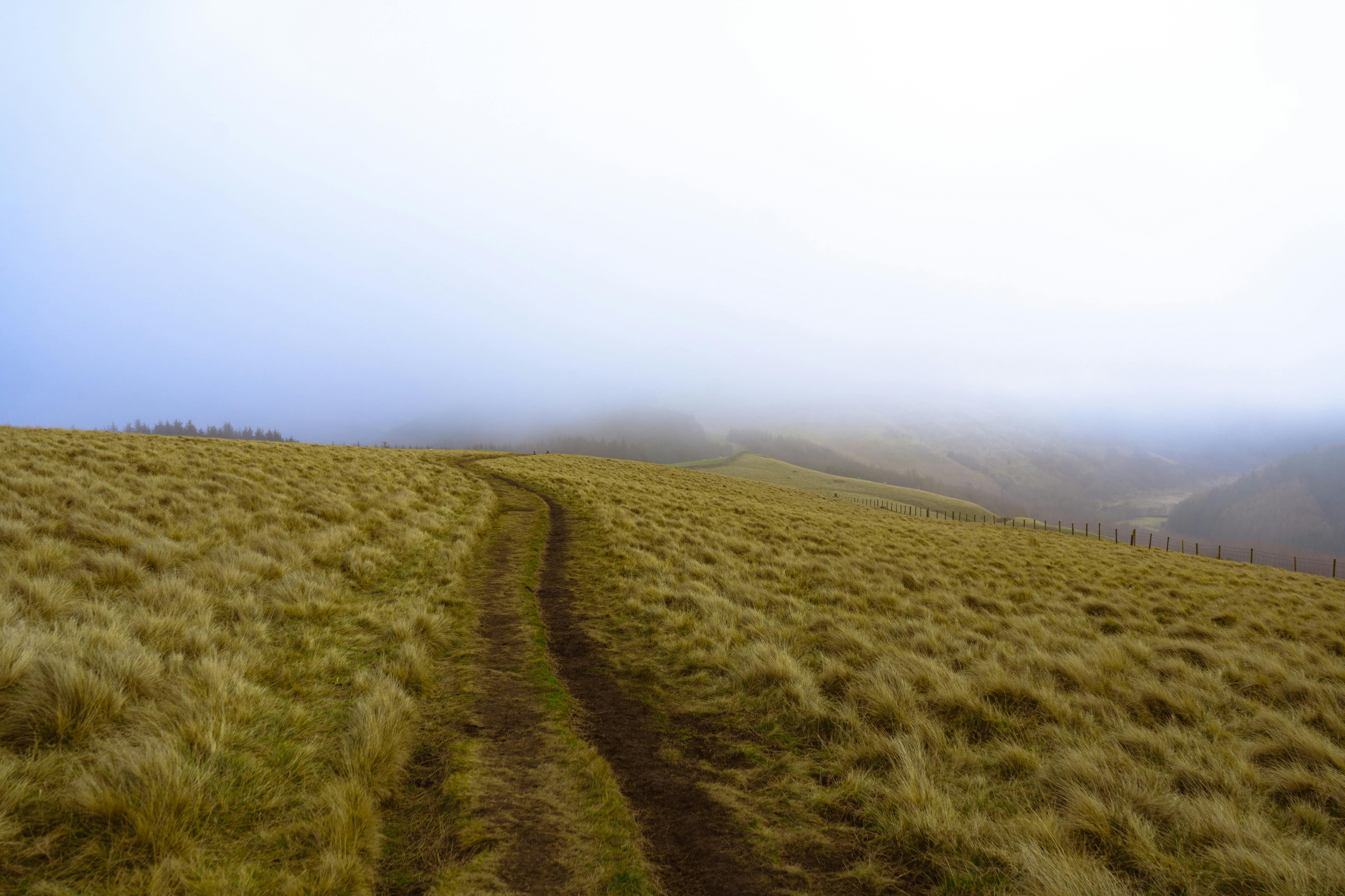Path in Field in Countryside in Fog · Free Stock Photo